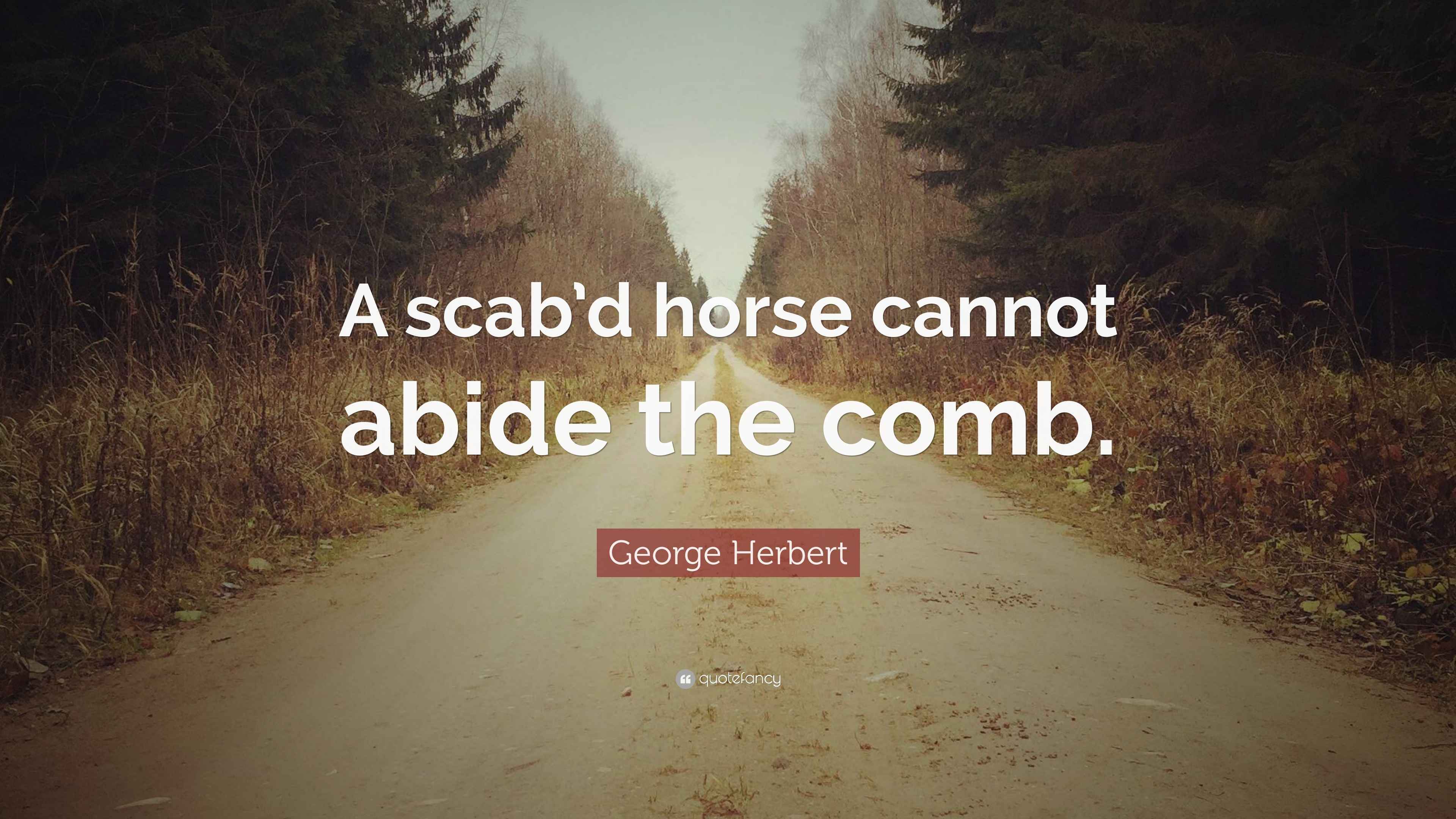 George Herbert Quote: “A scab’d horse cannot abide the comb.”
