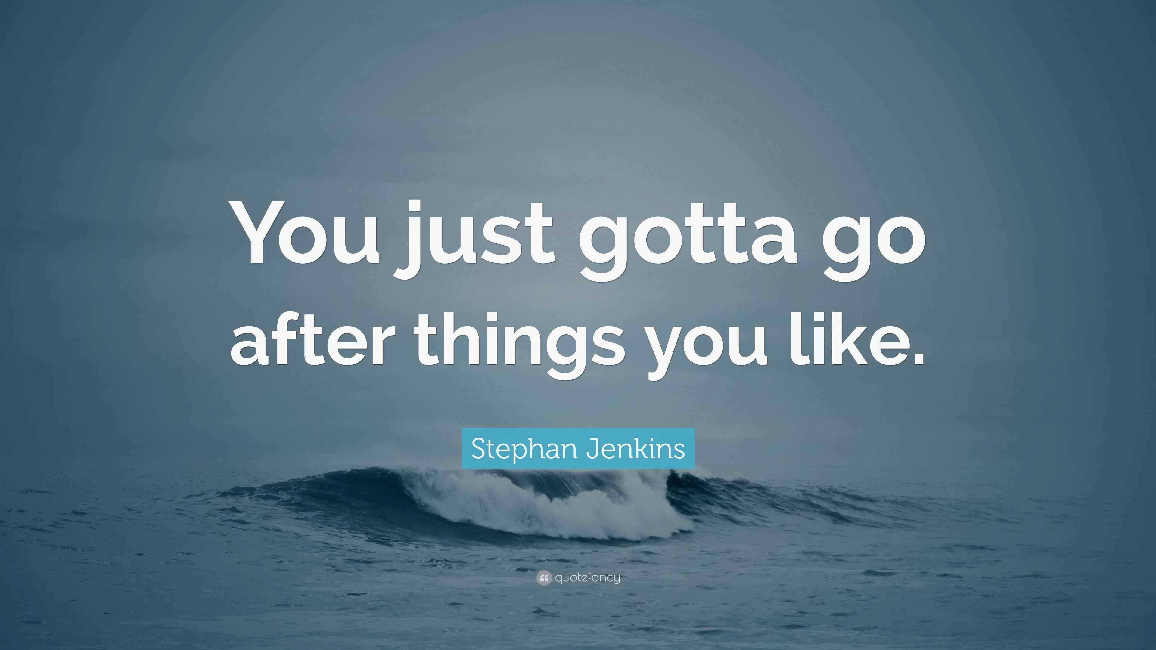 Stephan Jenkins Quote: “You just gotta go after things you like.”