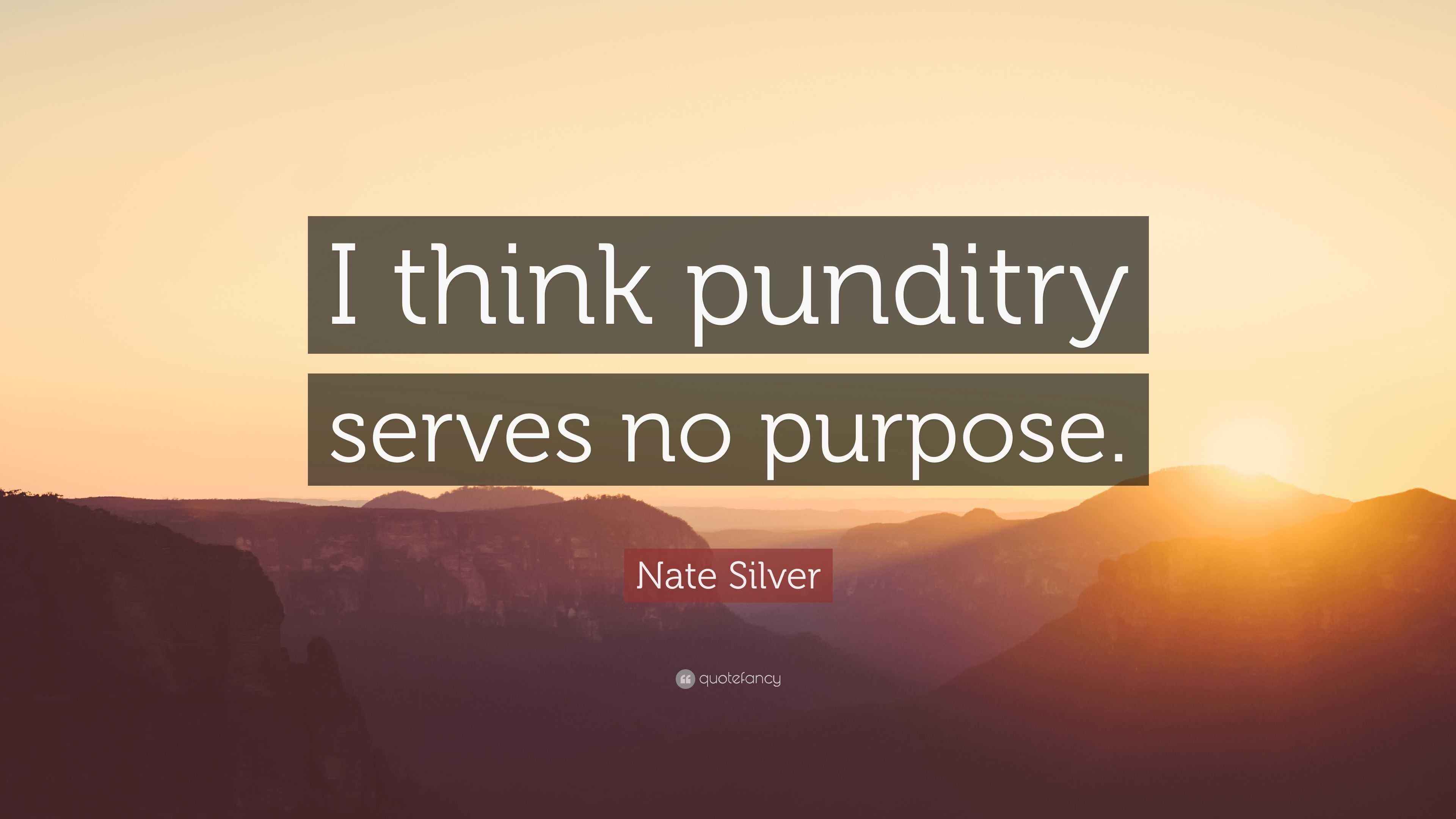 Nate Silver Quote: “I think punditry serves no purpose.”