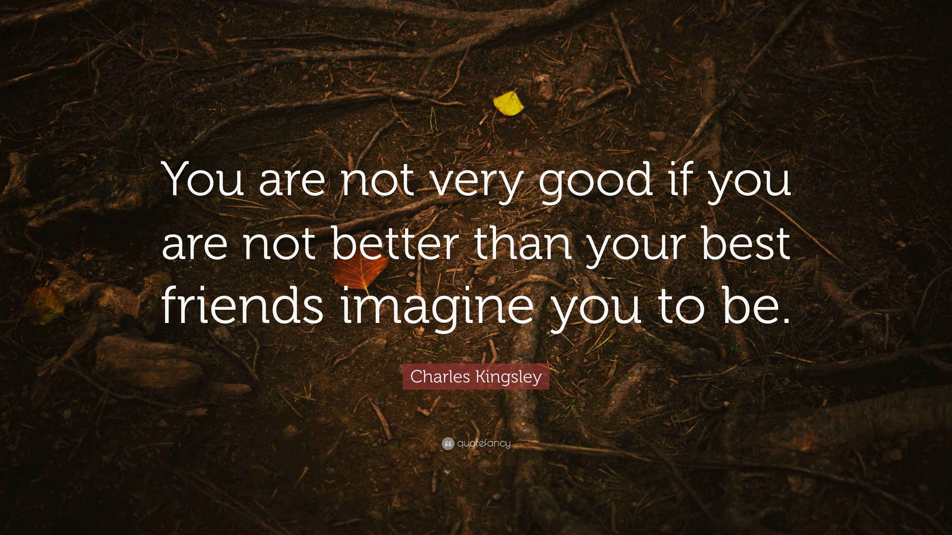 Charles Kingsley Quote: “You are not very good if you are not better ...