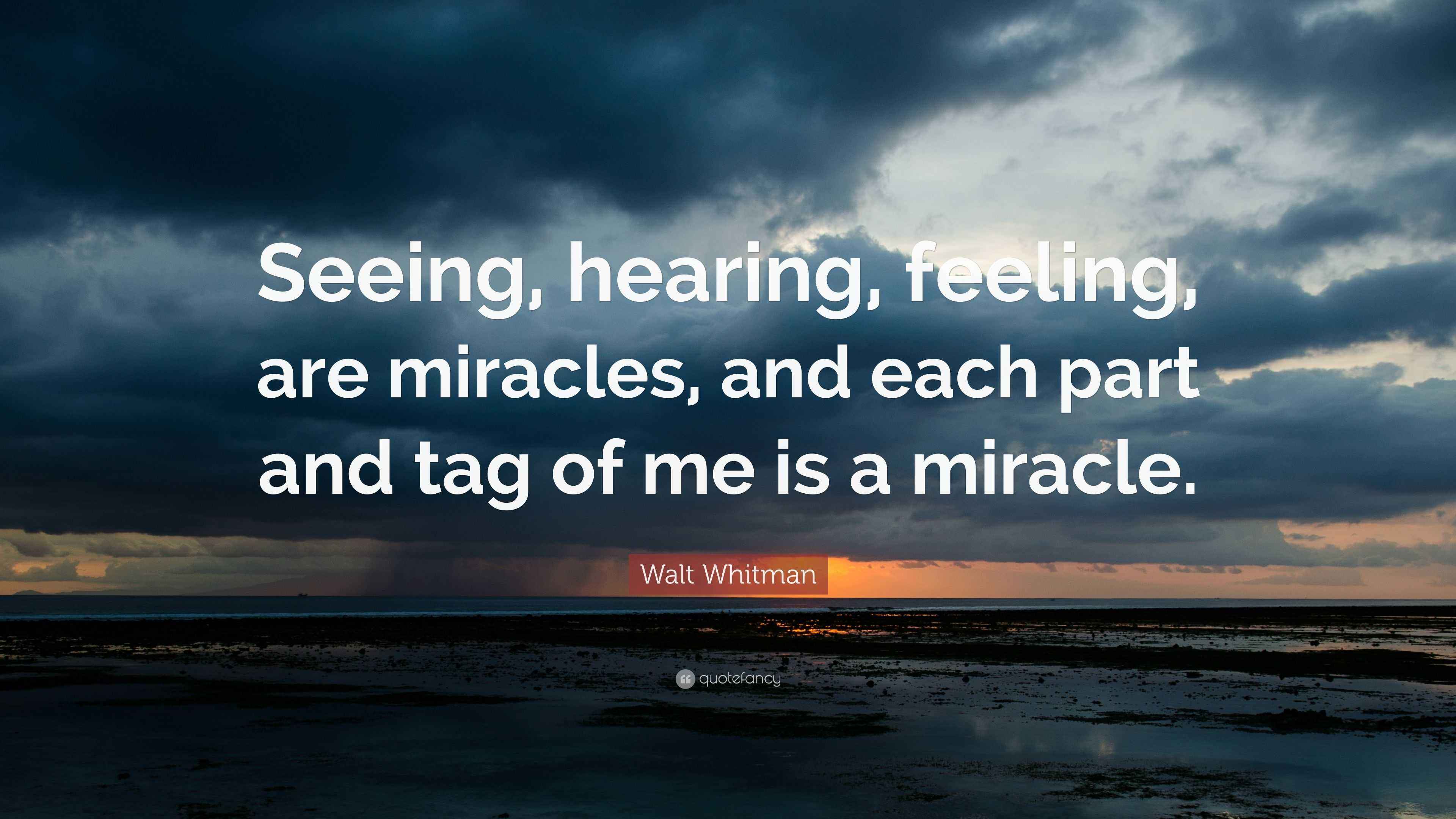 Walt Whitman Quote: “Seeing, hearing, feeling, are miracles, and each ...