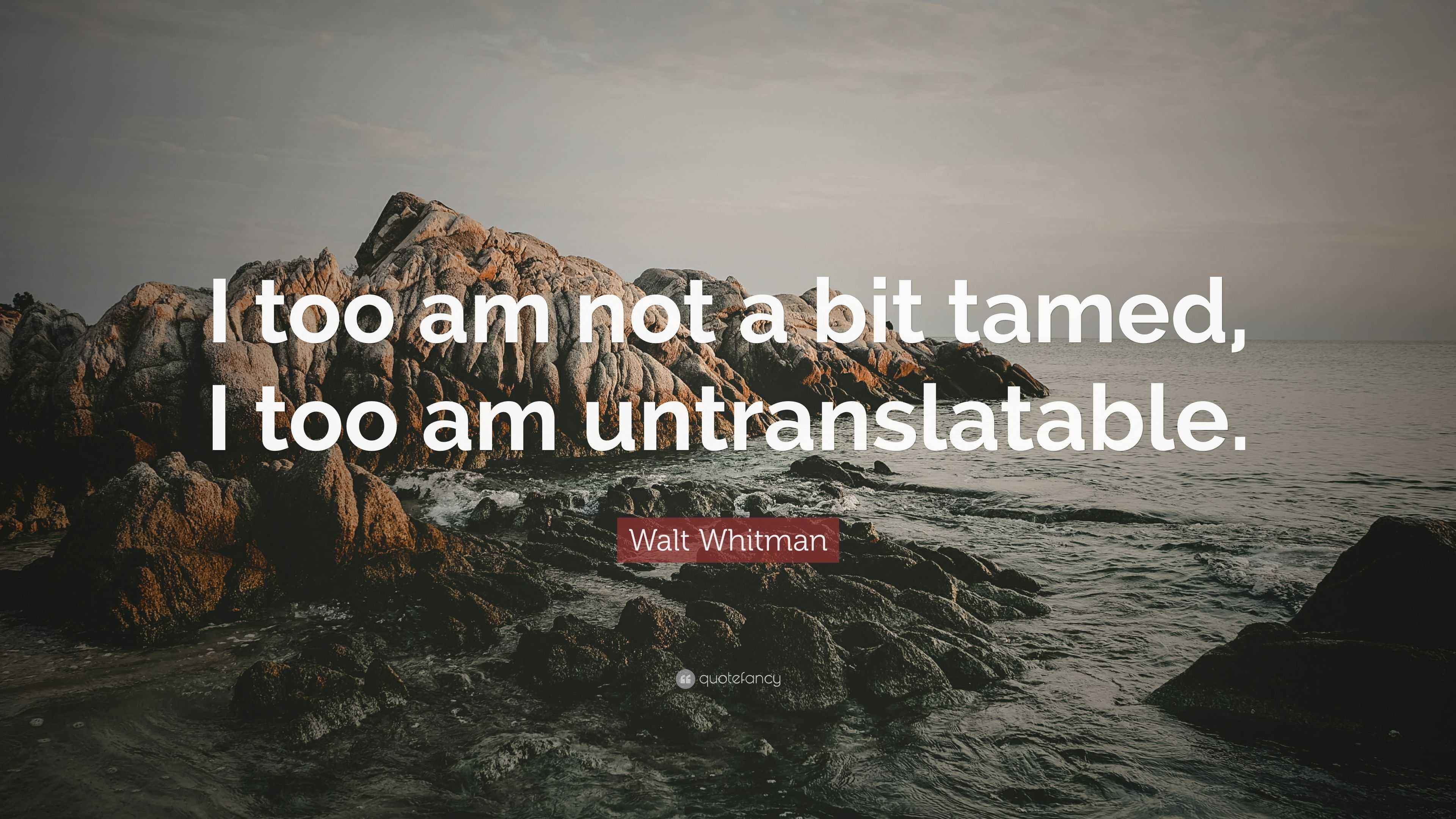 Walt Whitman Quote: “I too am not a bit tamed, I too am untranslatable.”