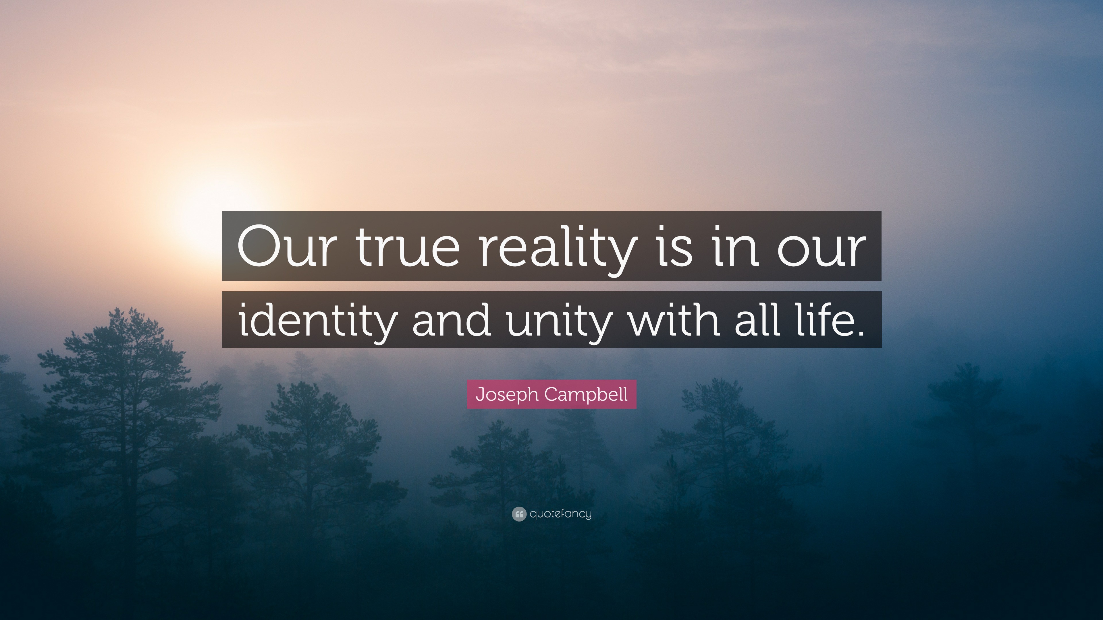 Joseph Campbell Quote: “Our true reality is in our identity and unity ...