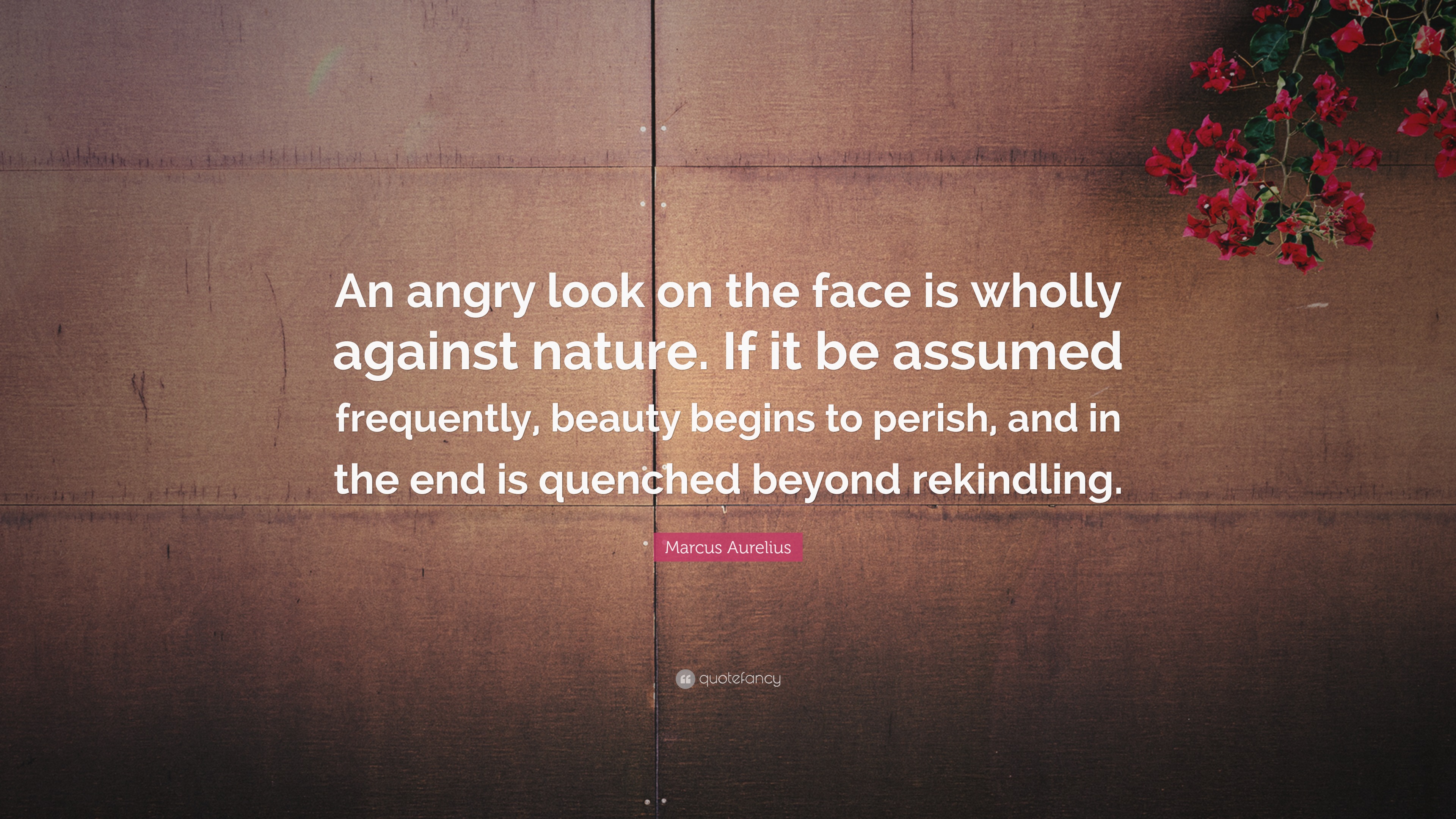 Marcus Aurelius Quote: “An angry look on the face is wholly against ...