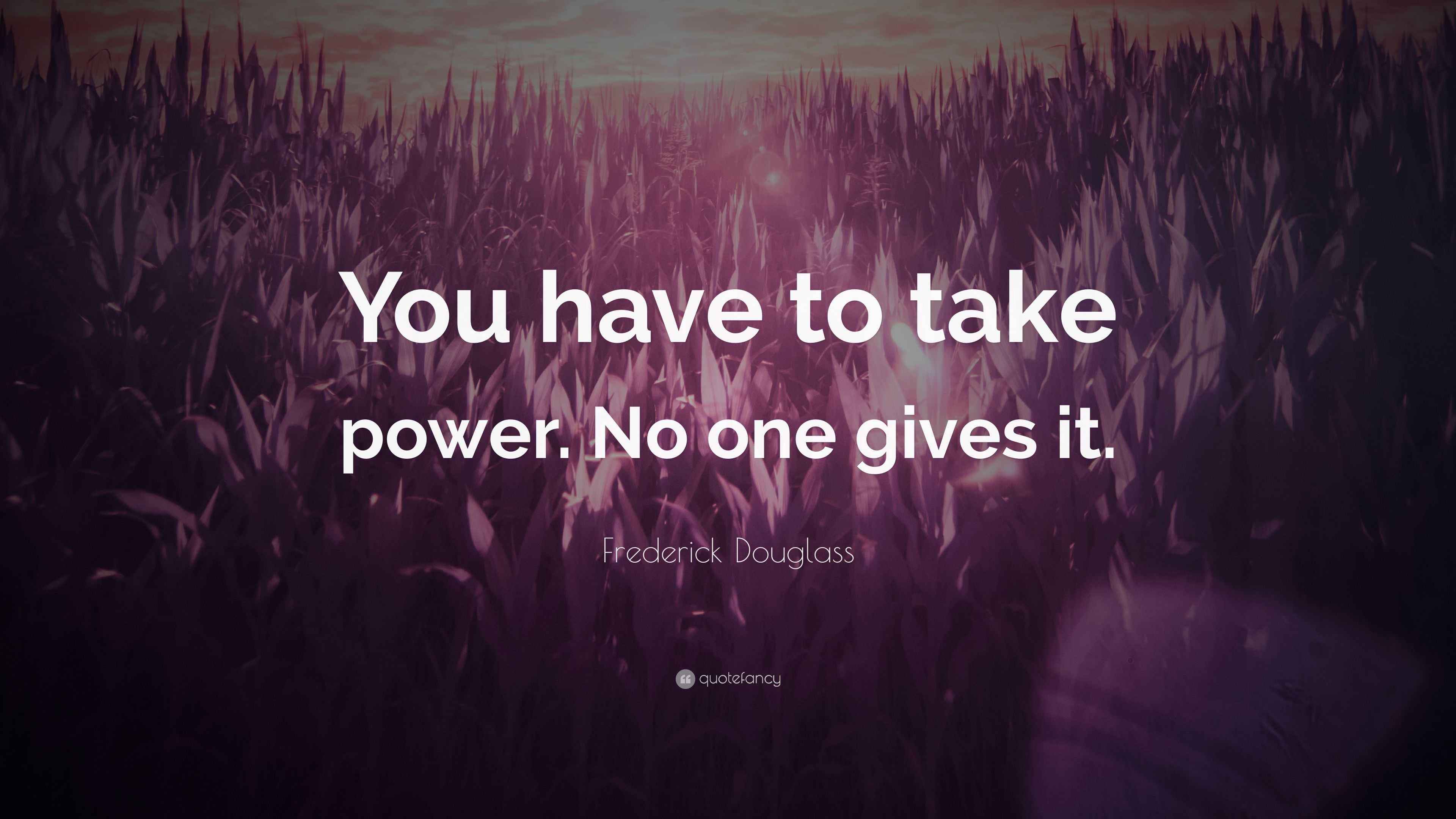 Frederick Douglass Quote: “You have to take power. No one gives it.”