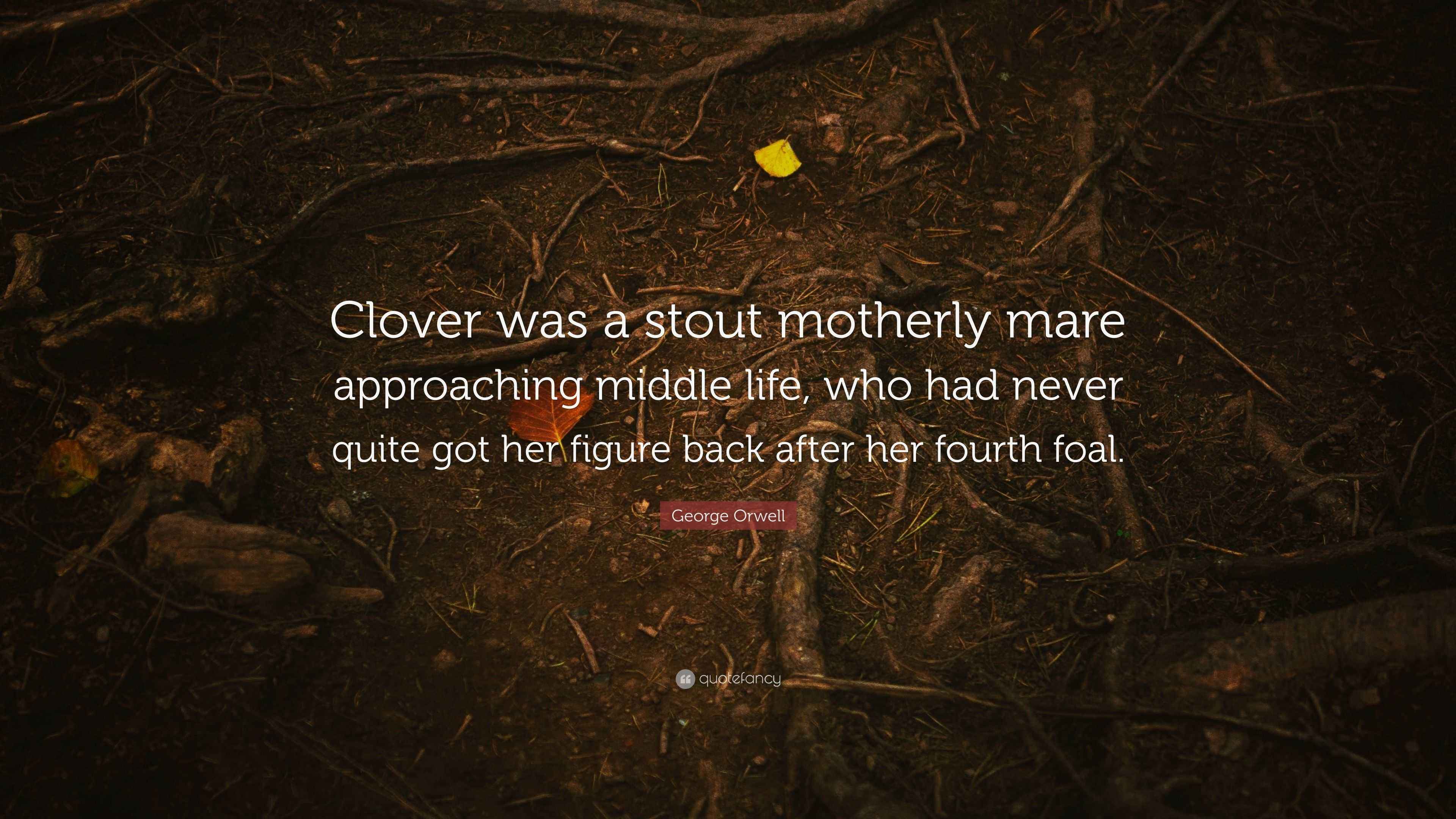 George Orwell Quote: “Clover was a stout motherly mare approaching ...