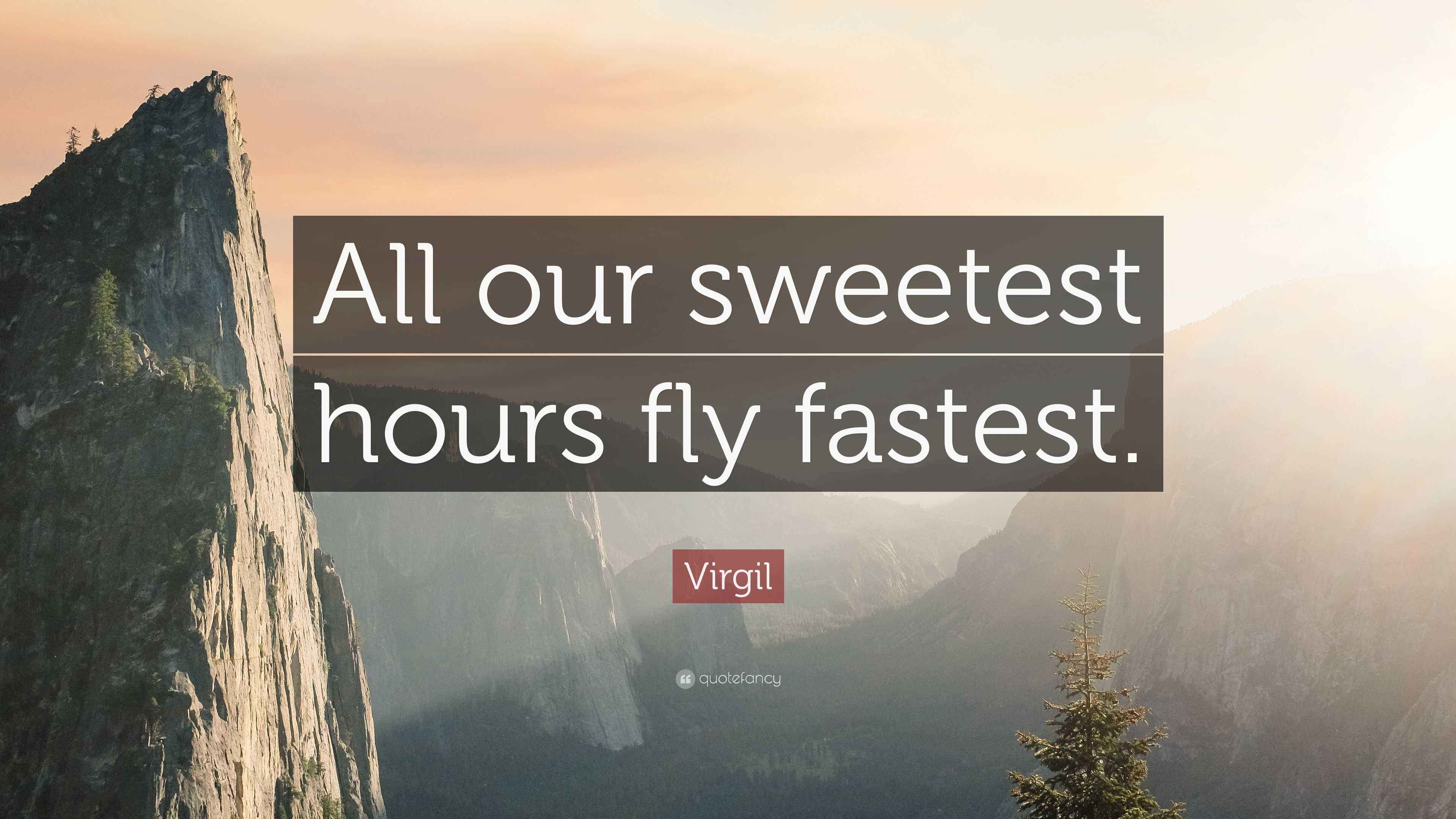 Virgil Quote: “All our sweetest hours fly fastest.”