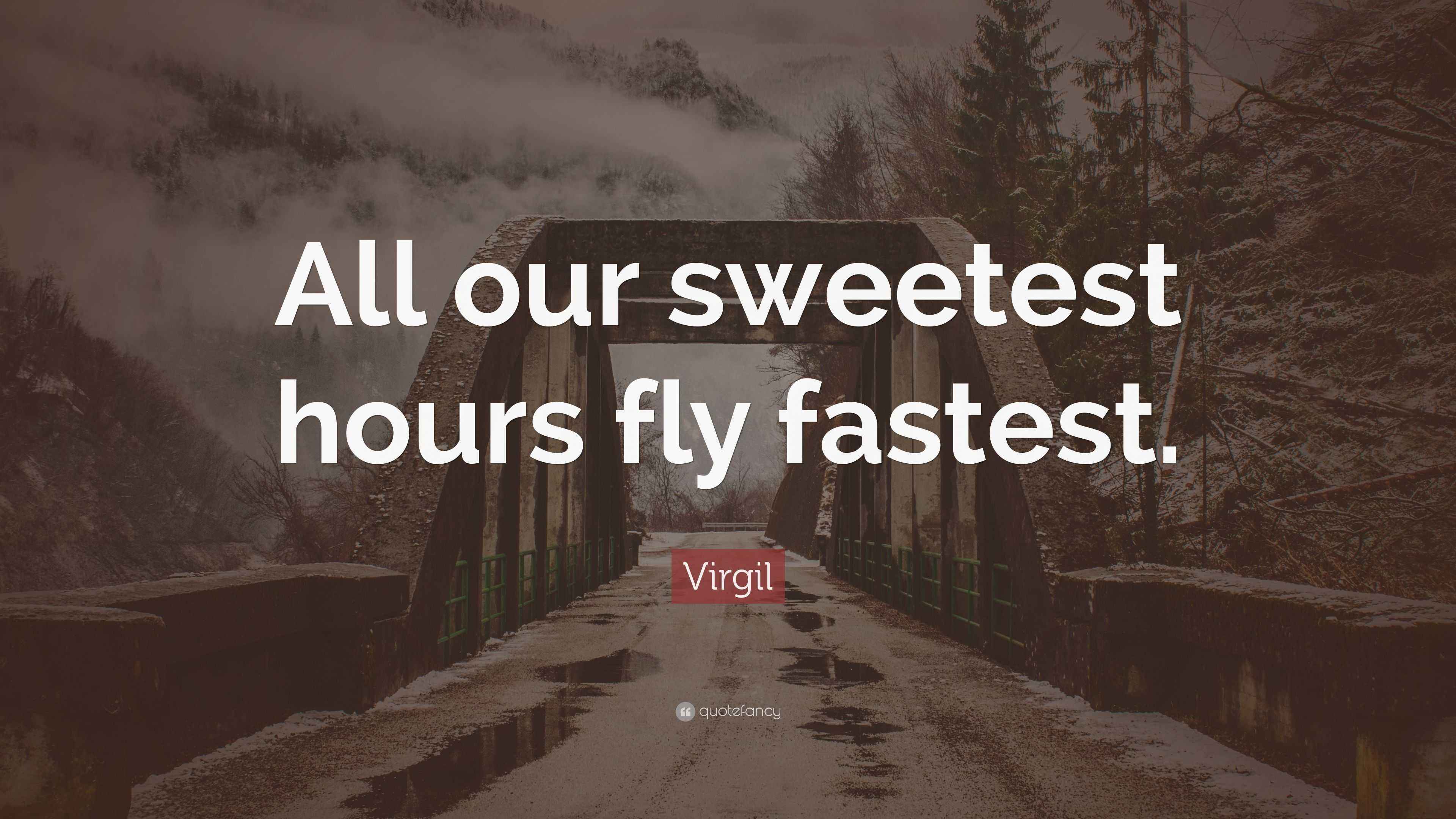Virgil Quote: “All our sweetest hours fly fastest.”