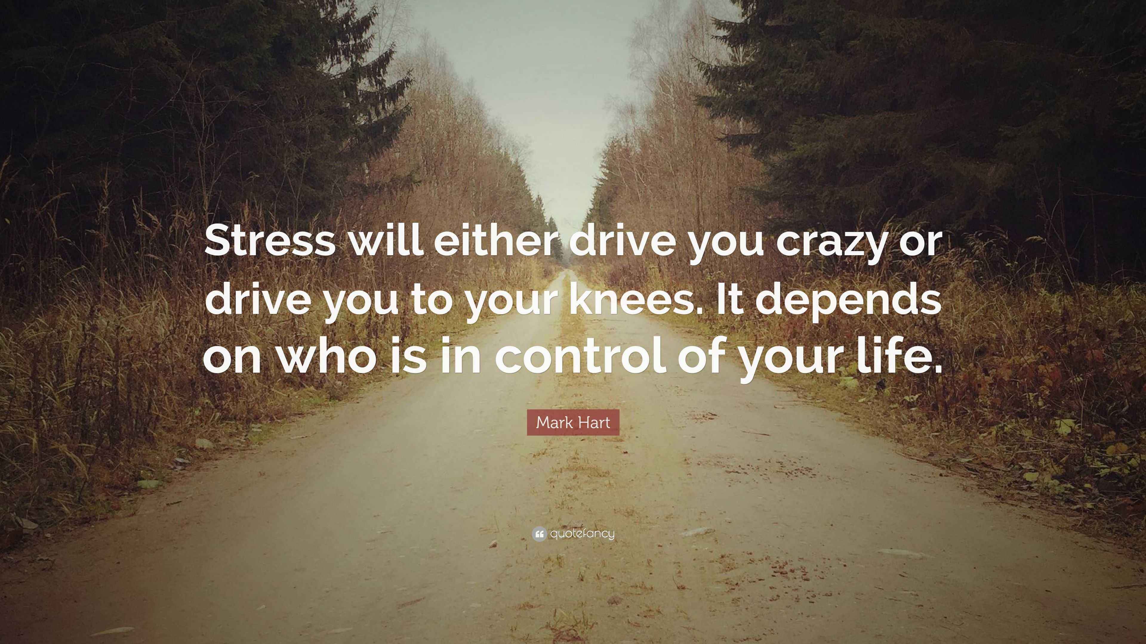 Mark Hart Quote: “Stress will either drive you crazy or drive you to ...
