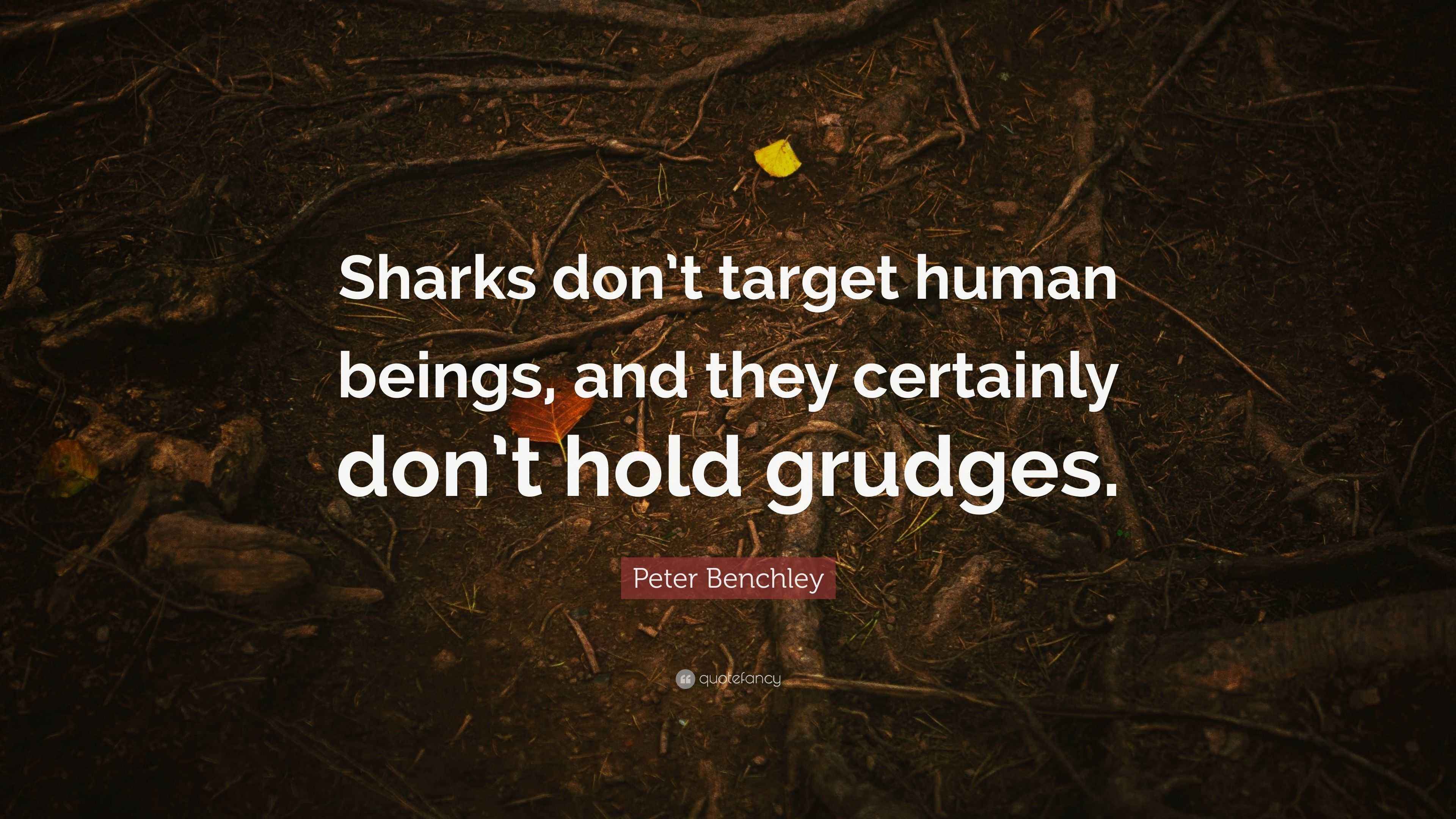 Peter Benchley Quote: “Sharks don’t target human beings, and they ...
