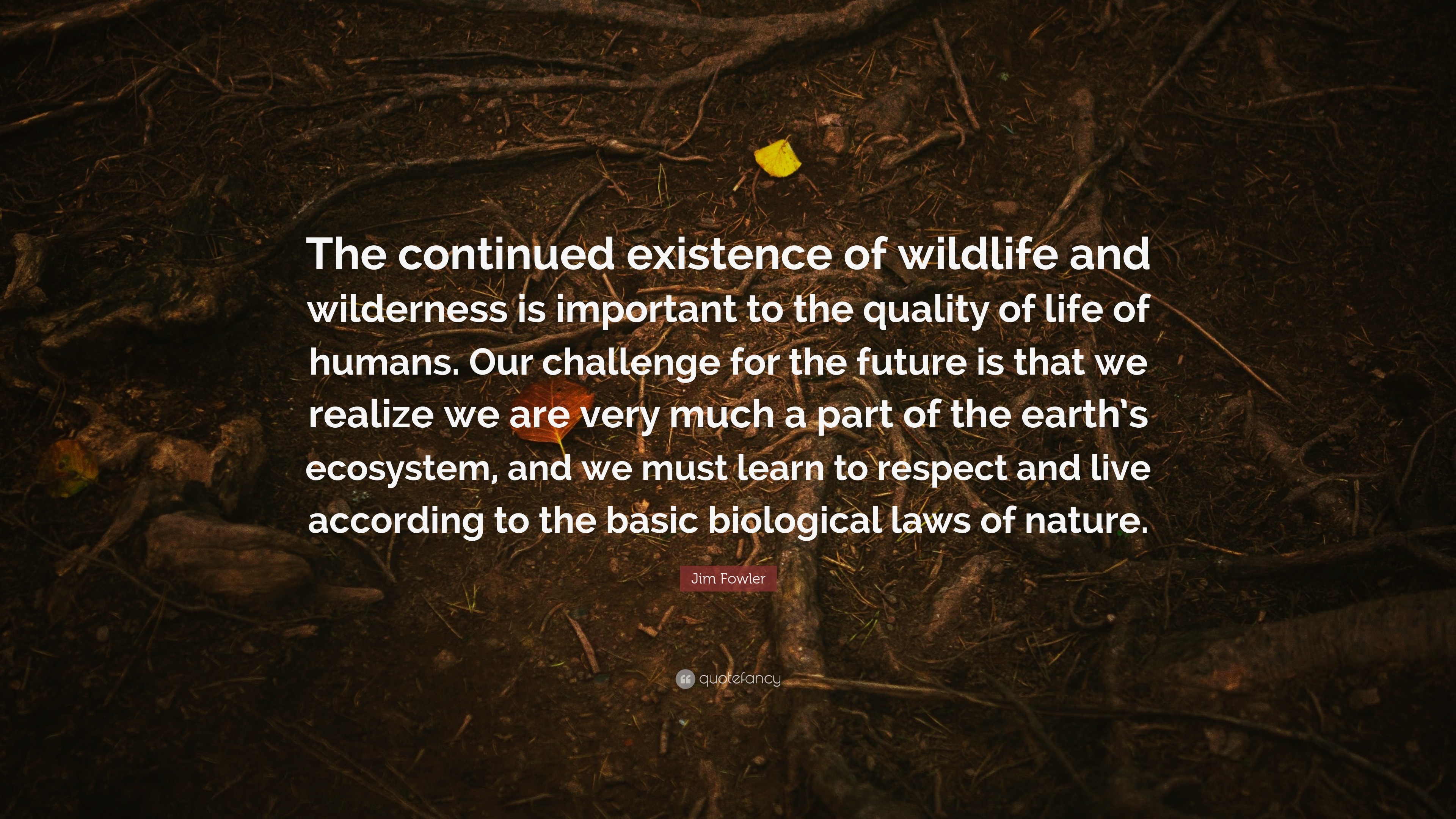 Jim Fowler Quote: “The continued existence of wildlife and wilderness ...