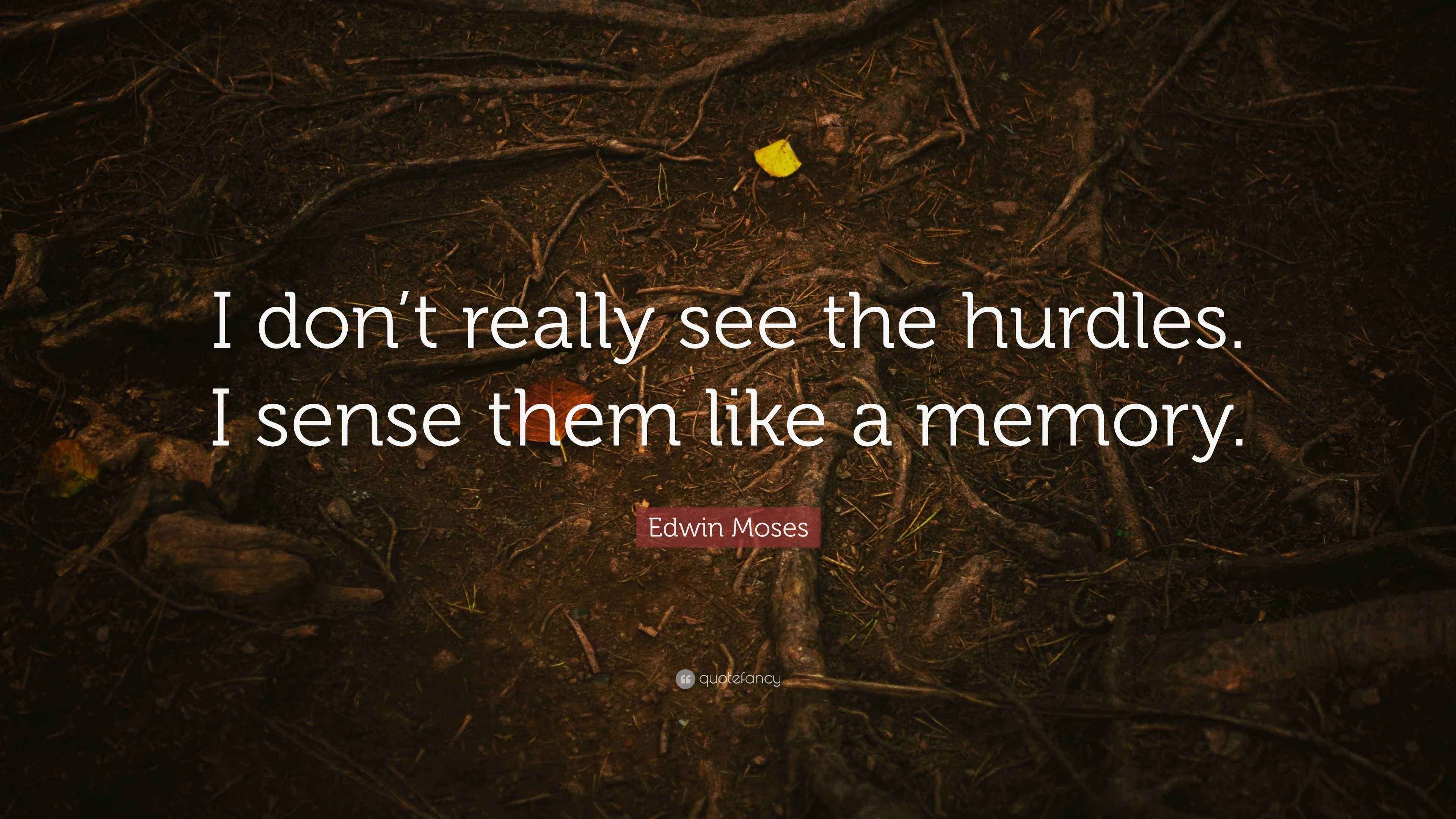 Edwin Moses Quote: “I don’t really see the hurdles. I sense them like a ...