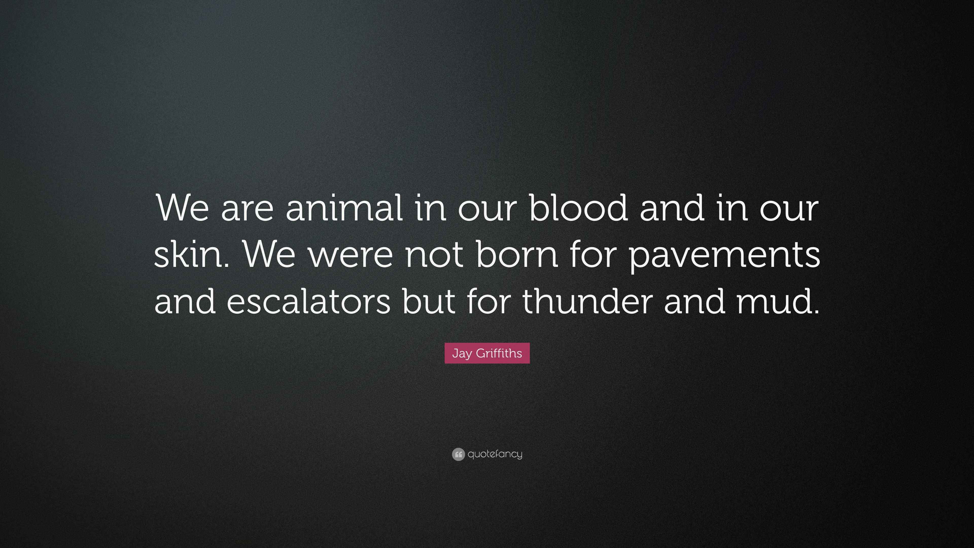 Jay Griffiths Quote: “We are animal in our blood and in our skin. We ...
