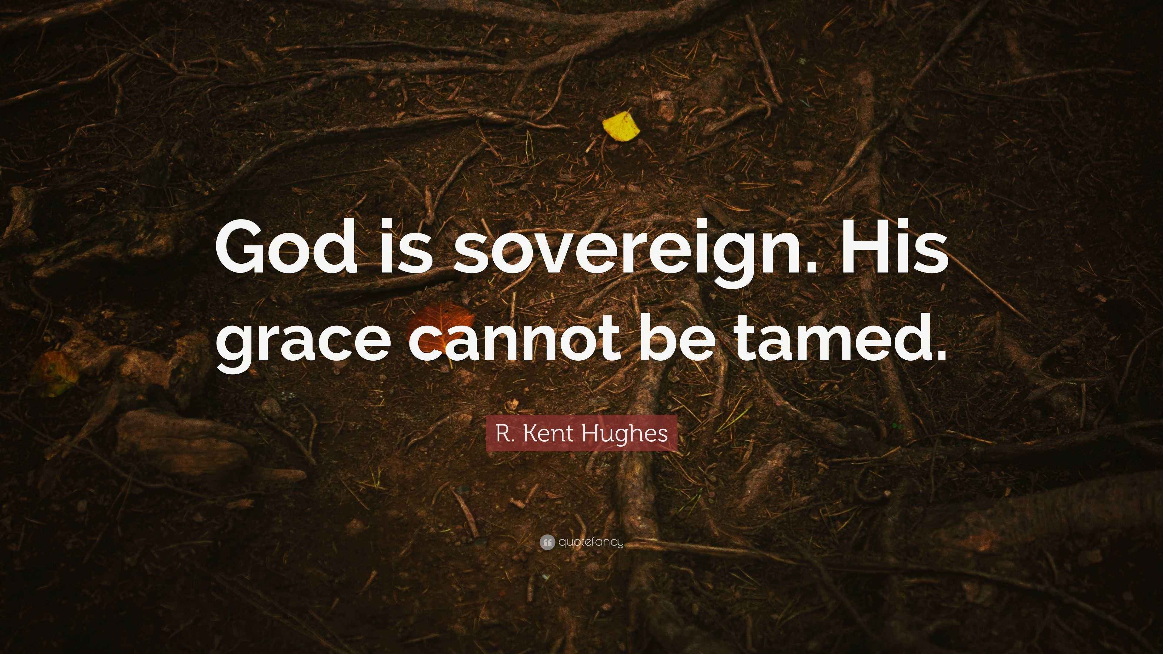 R. Kent Hughes Quote: “God is sovereign. His grace cannot be tamed.”
