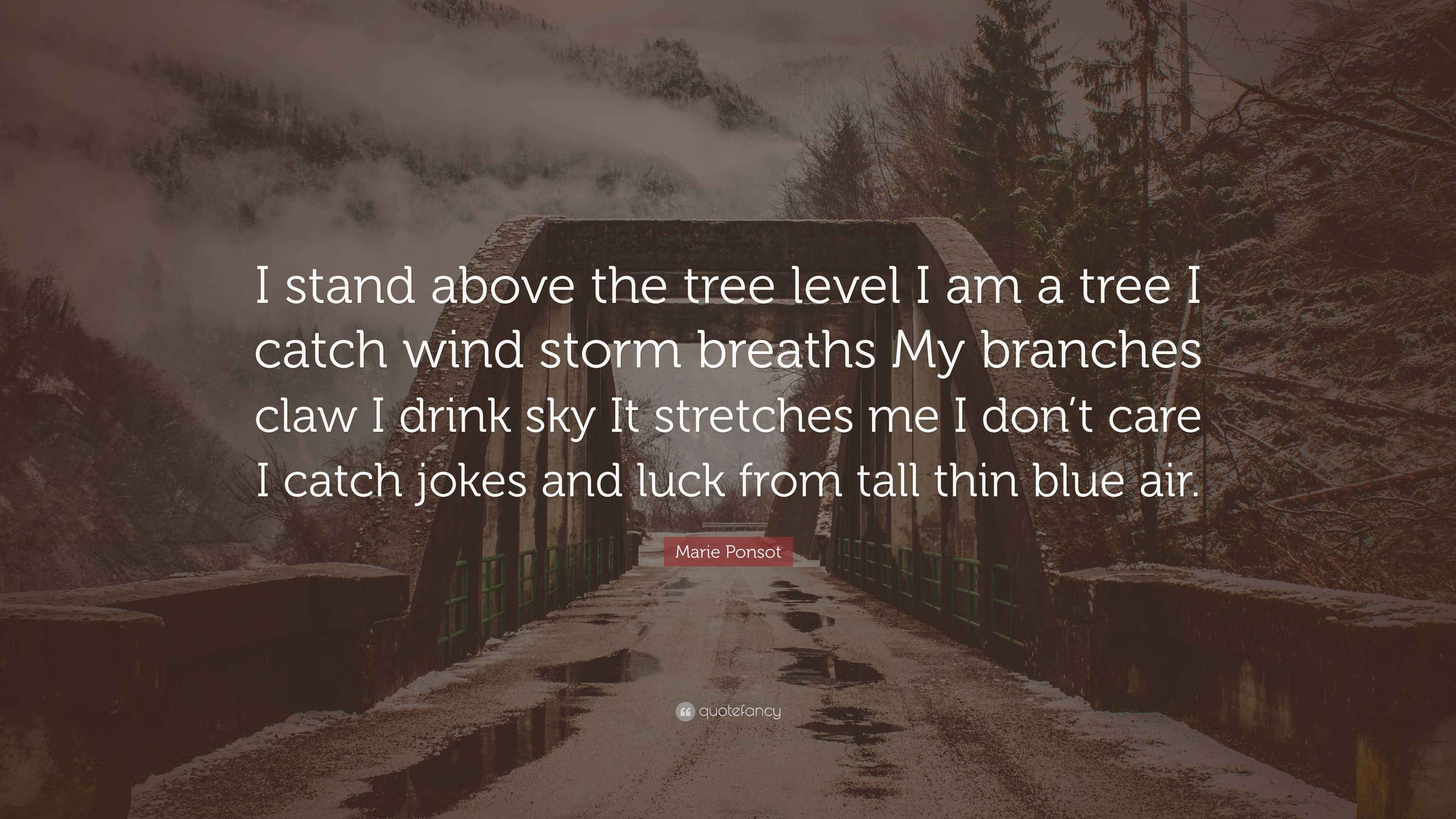 Marie Ponsot Quote: “I stand above the tree level I am a tree I catch ...