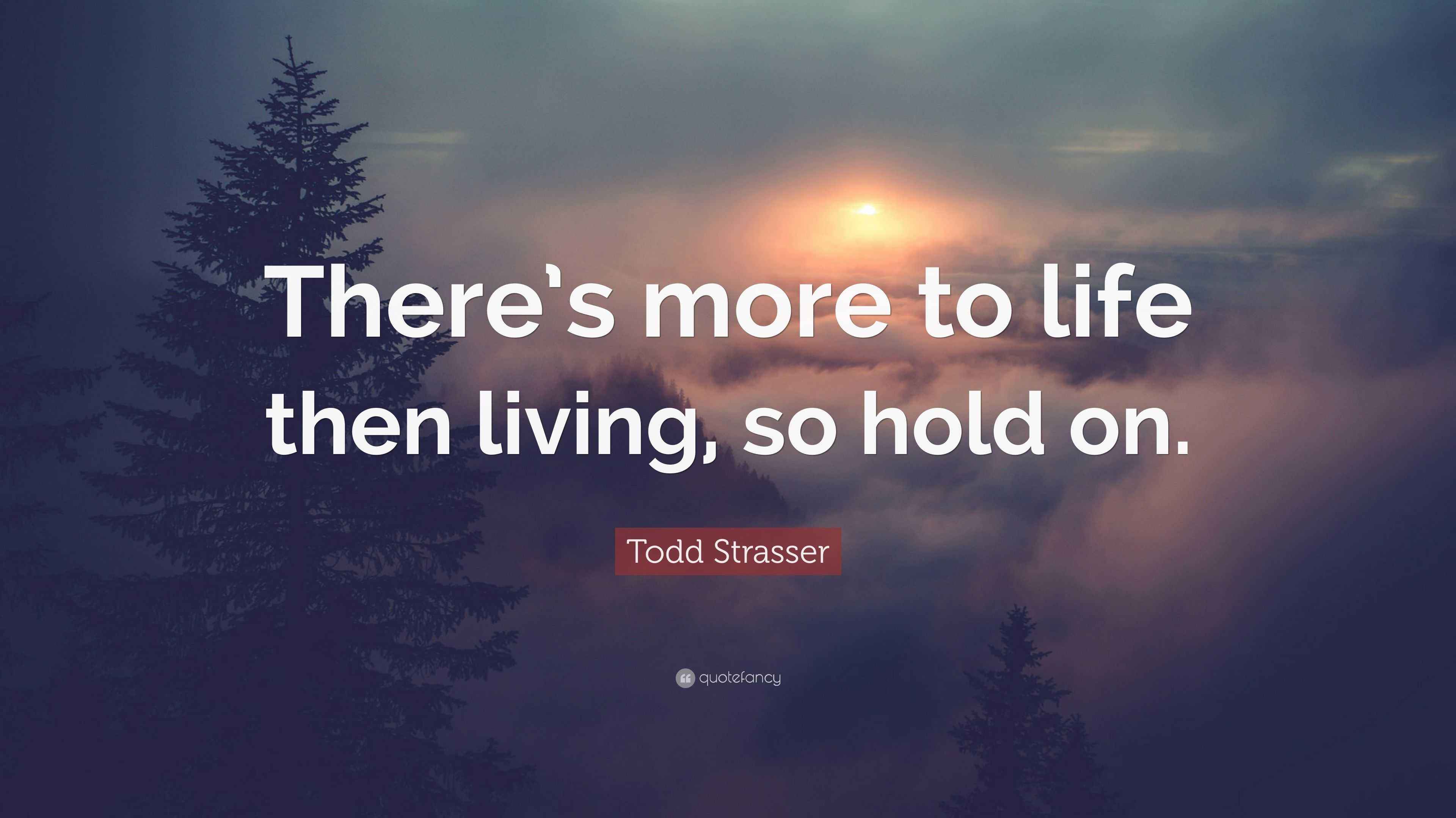 Todd Strasser Quote: “There’s more to life then living, so hold on.”