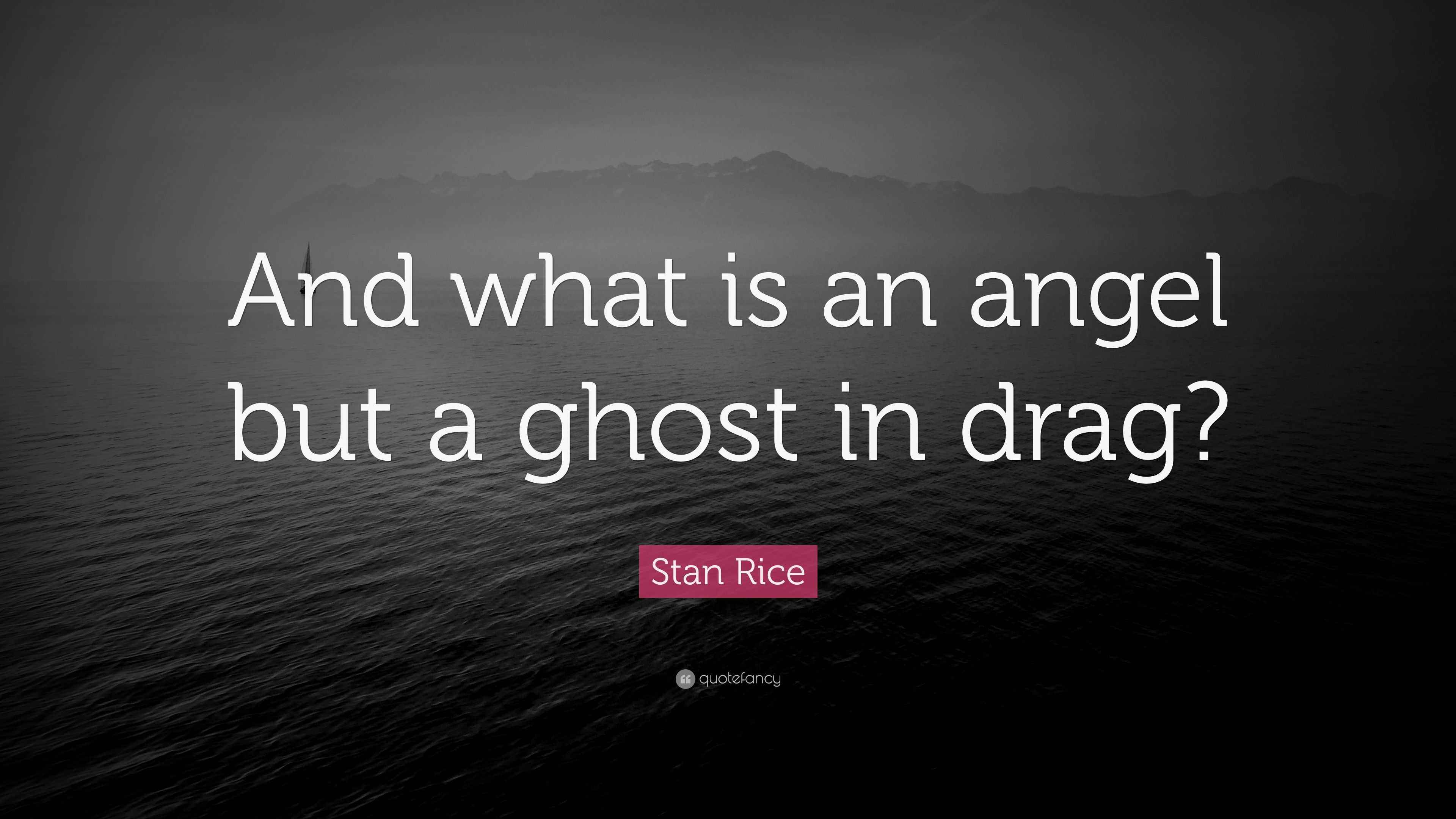 Stan Rice Quote: “And what is an angel but a ghost in drag?”
