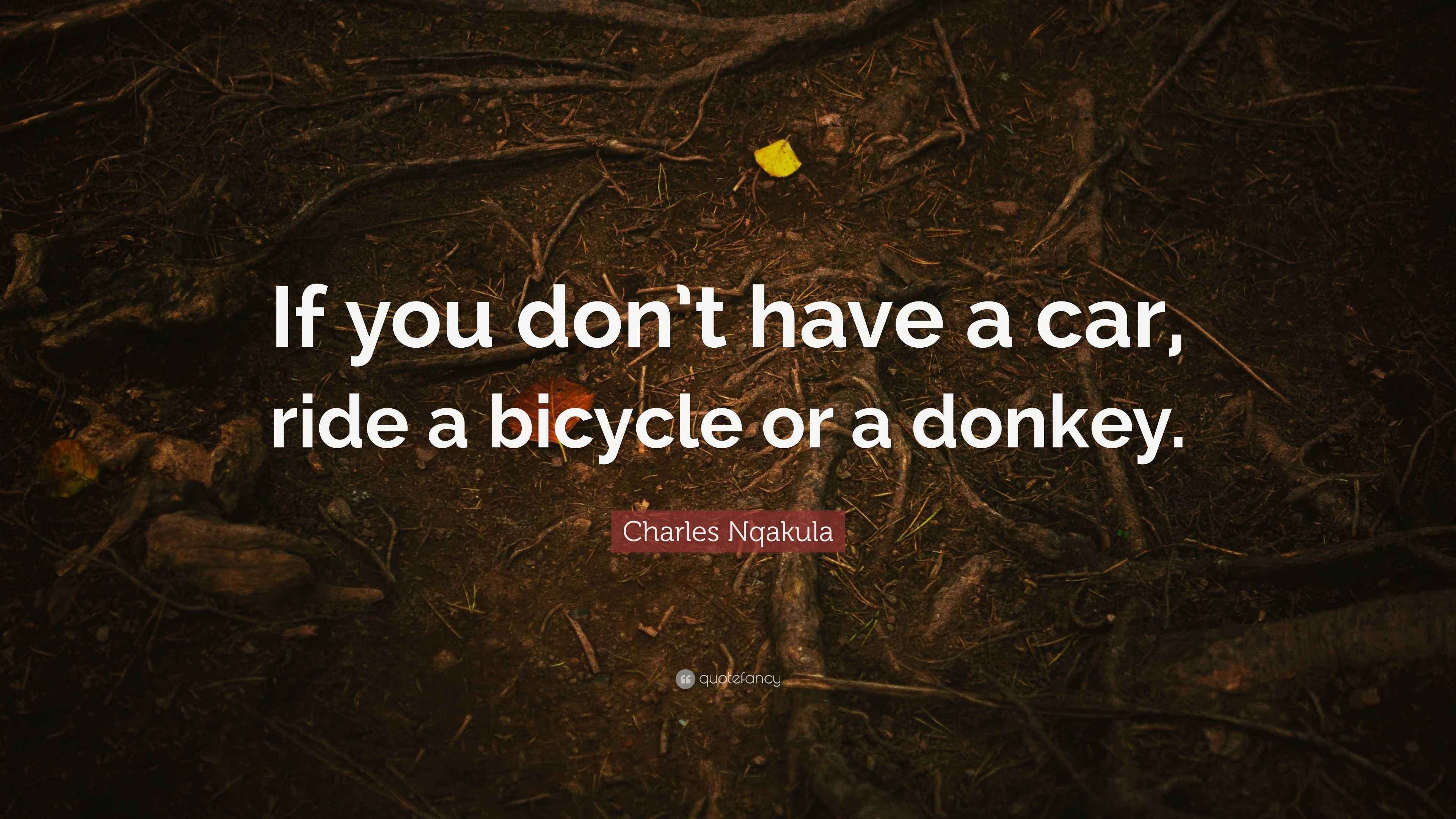 Charles Nqakula Quote: “If you don’t have a car, ride a bicycle or a ...