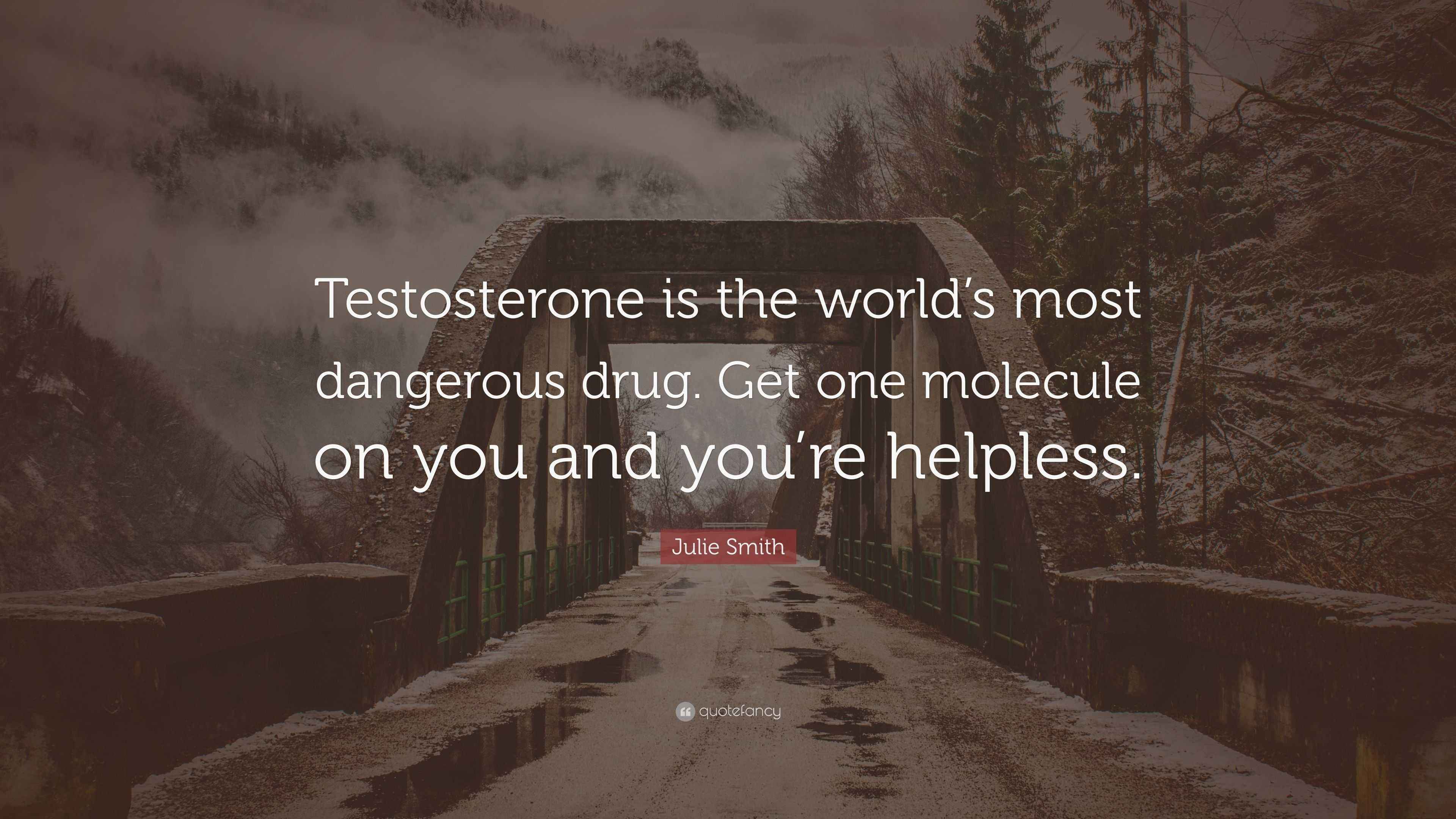 Julie Smith Quote: “Testosterone is the world’s most dangerous drug ...
