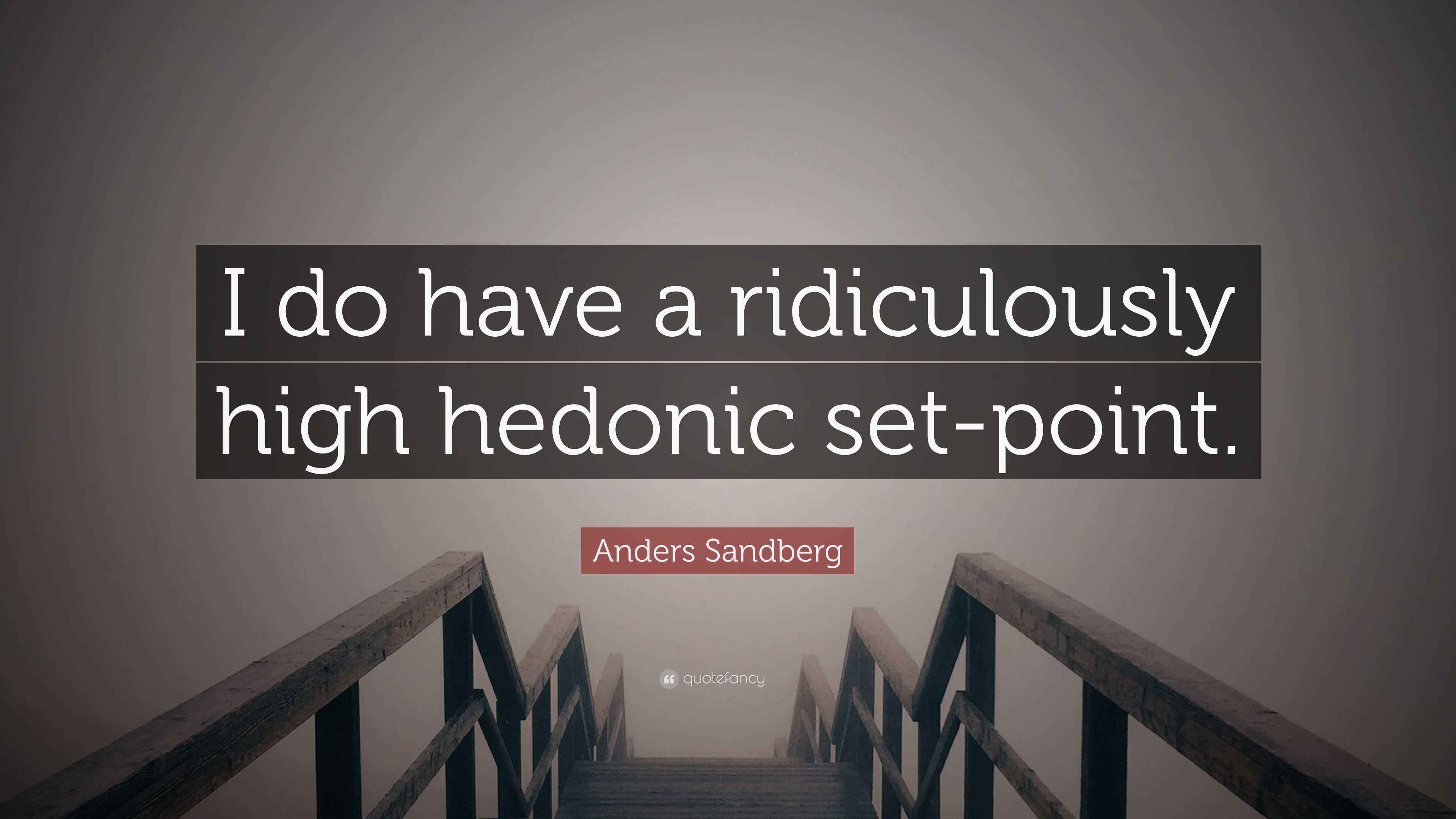 Anders Sandberg Quote: “I do have a ridiculously high hedonic set-point.”