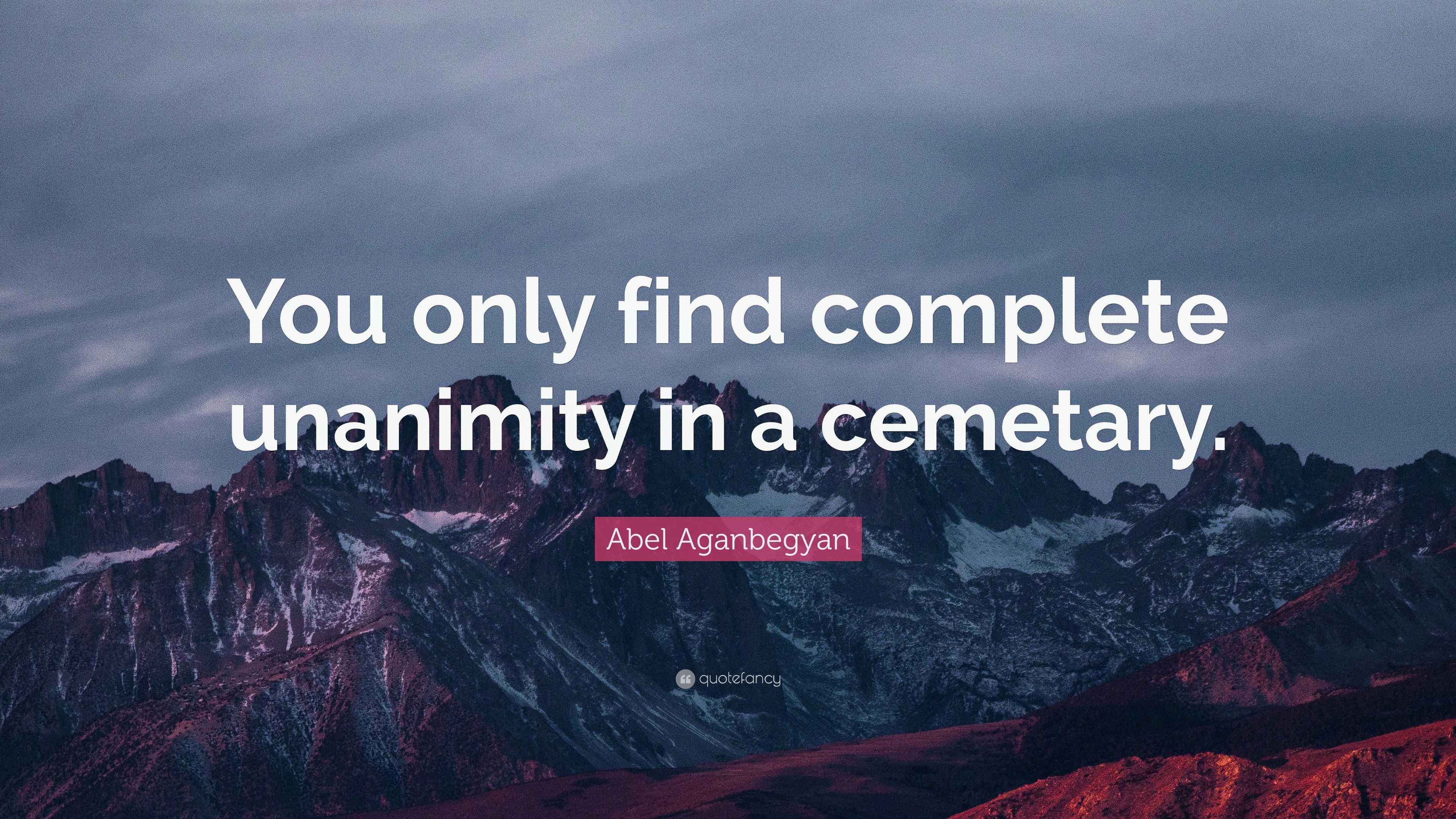 Abel Aganbegyan Quote: “You only find complete unanimity in a cemetary.”
