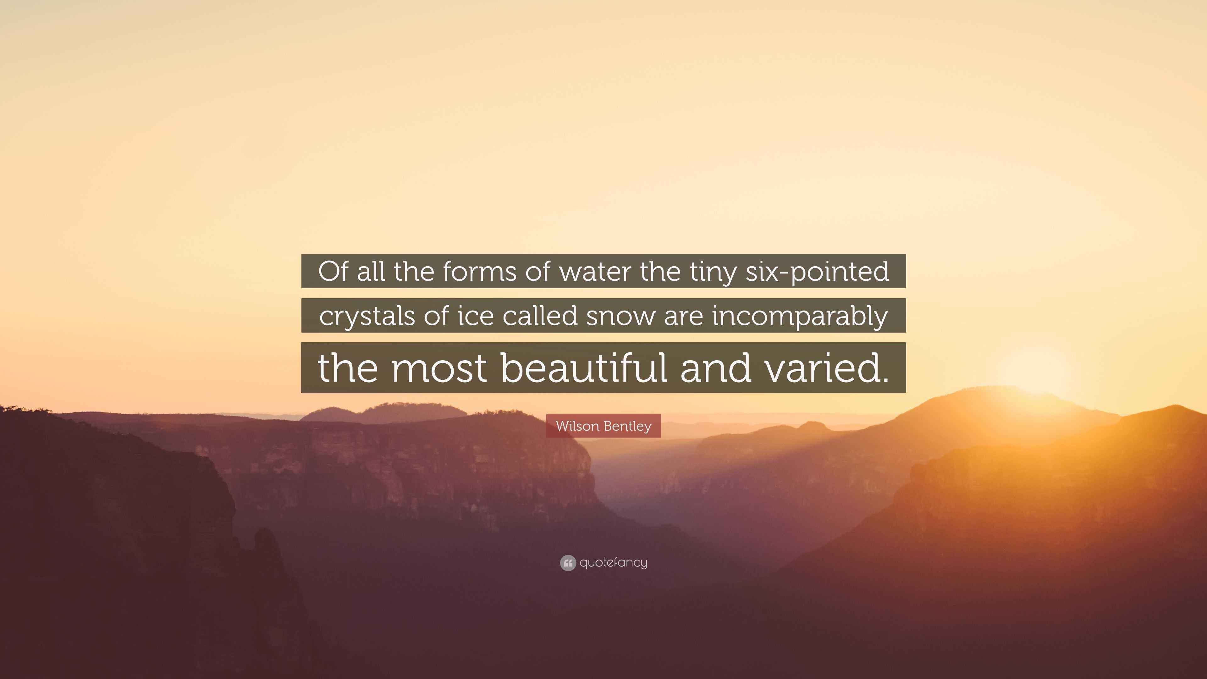 Wilson Bentley Quote: “Of all the forms of water the tiny six-pointed ...