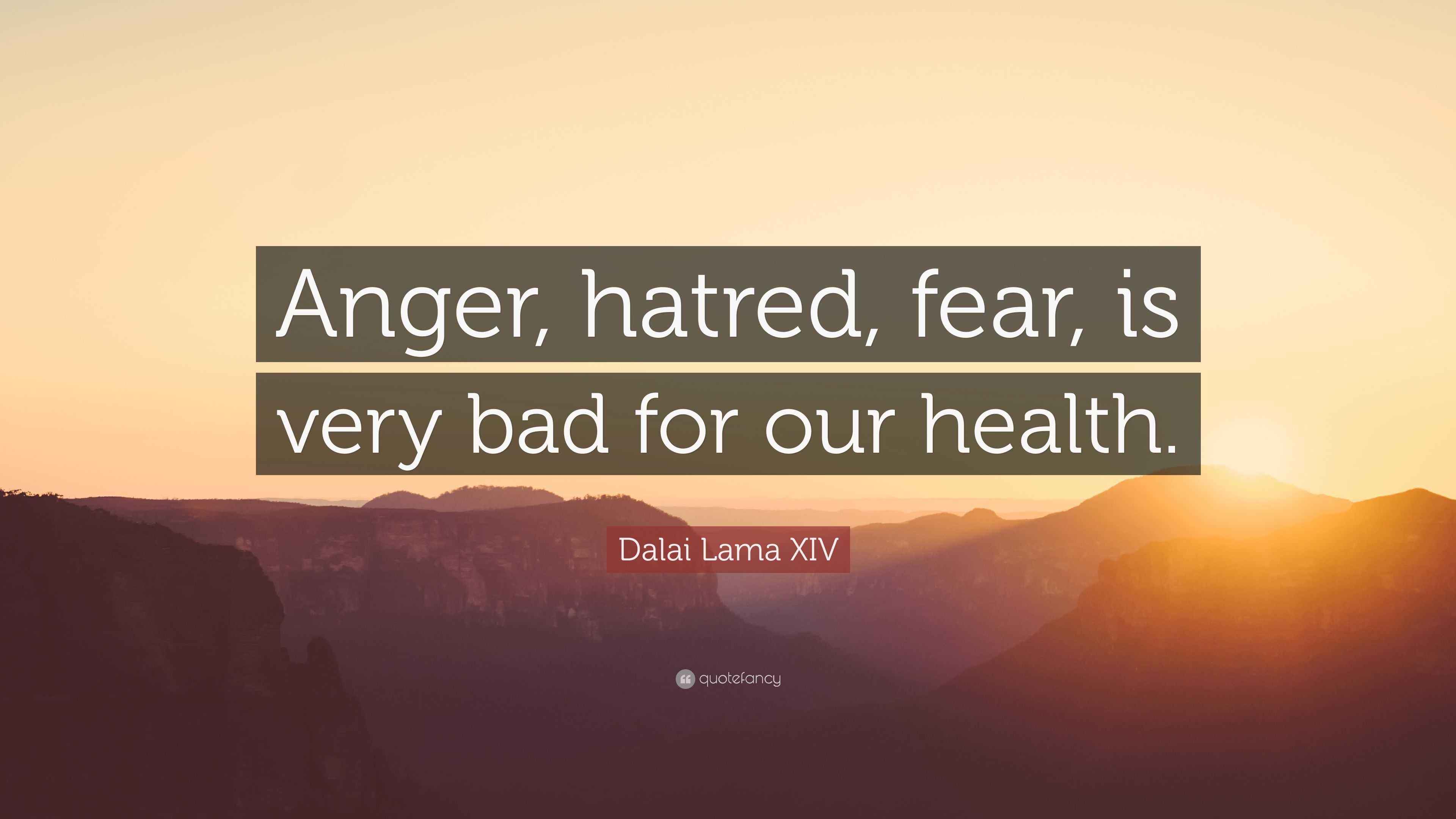 Dalai Lama XIV Quote: “Anger, hatred, fear, is very bad for our health.”