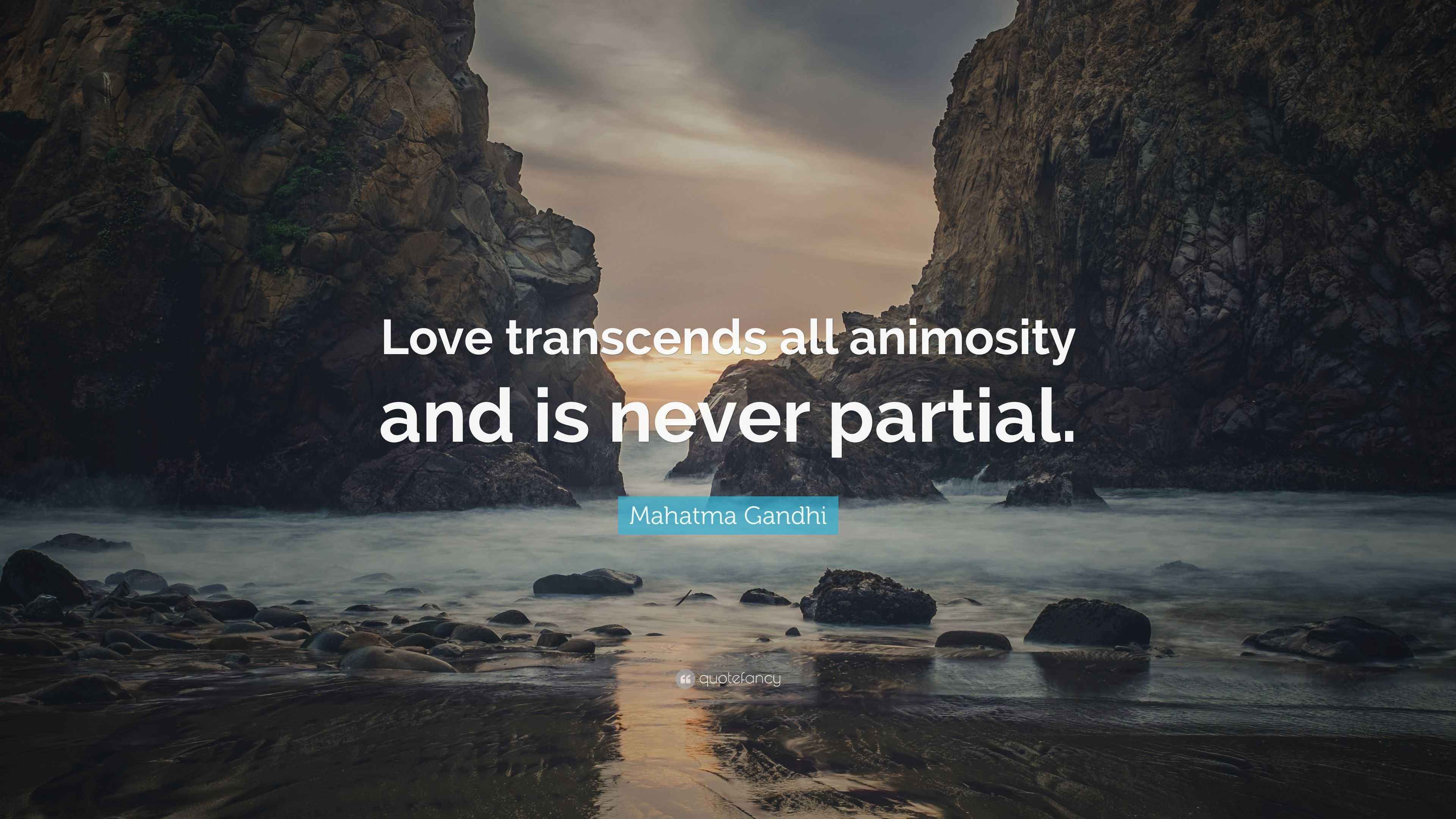 Mahatma Gandhi Quote: “Love transcends all animosity and is never partial.”
