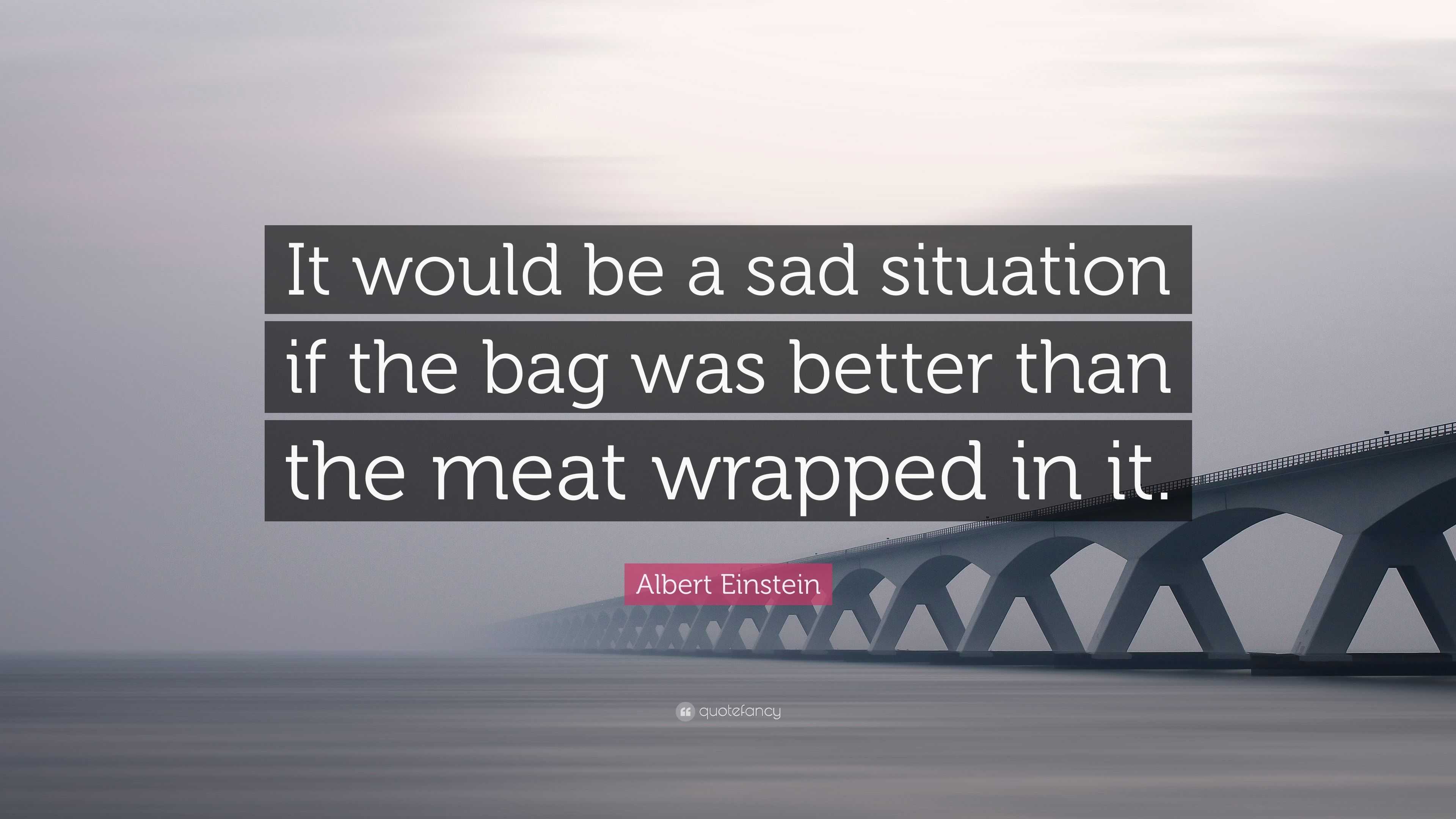 Albert Einstein Quote: “It would be a sad situation if the bag was ...