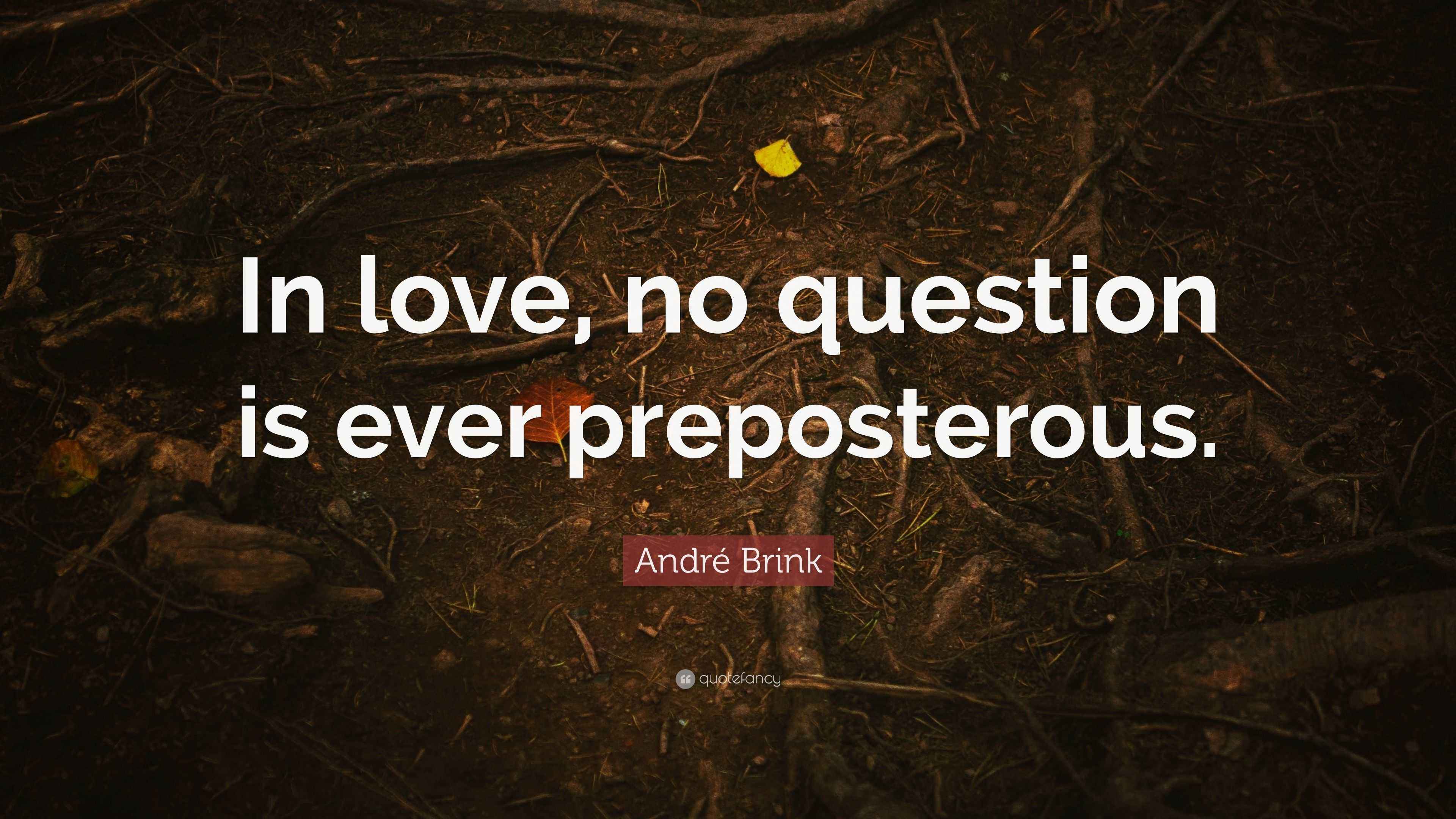 André Brink Quote: “In love, no question is ever preposterous.”