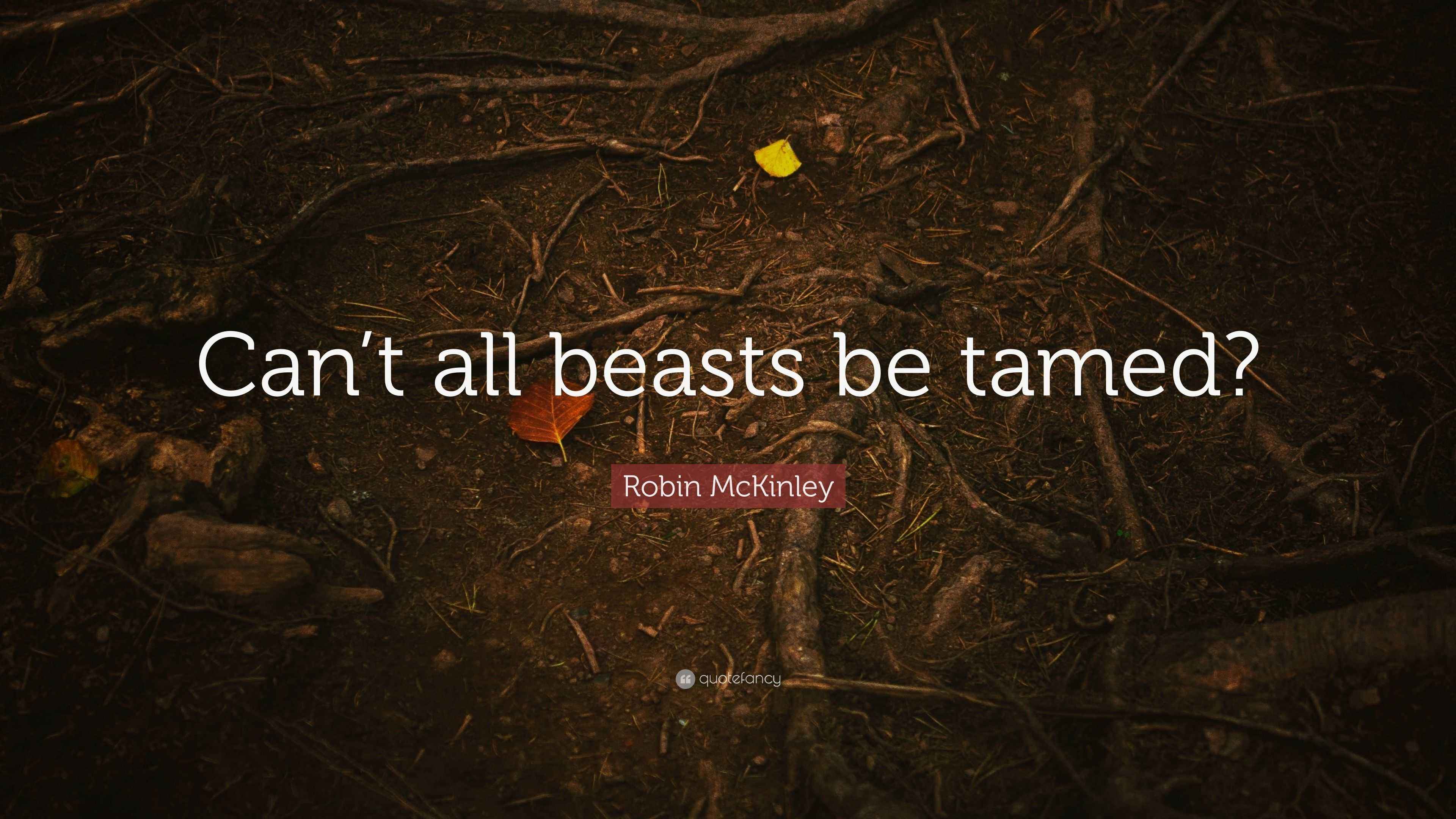 Robin McKinley Quote: “Can’t all beasts be tamed?”