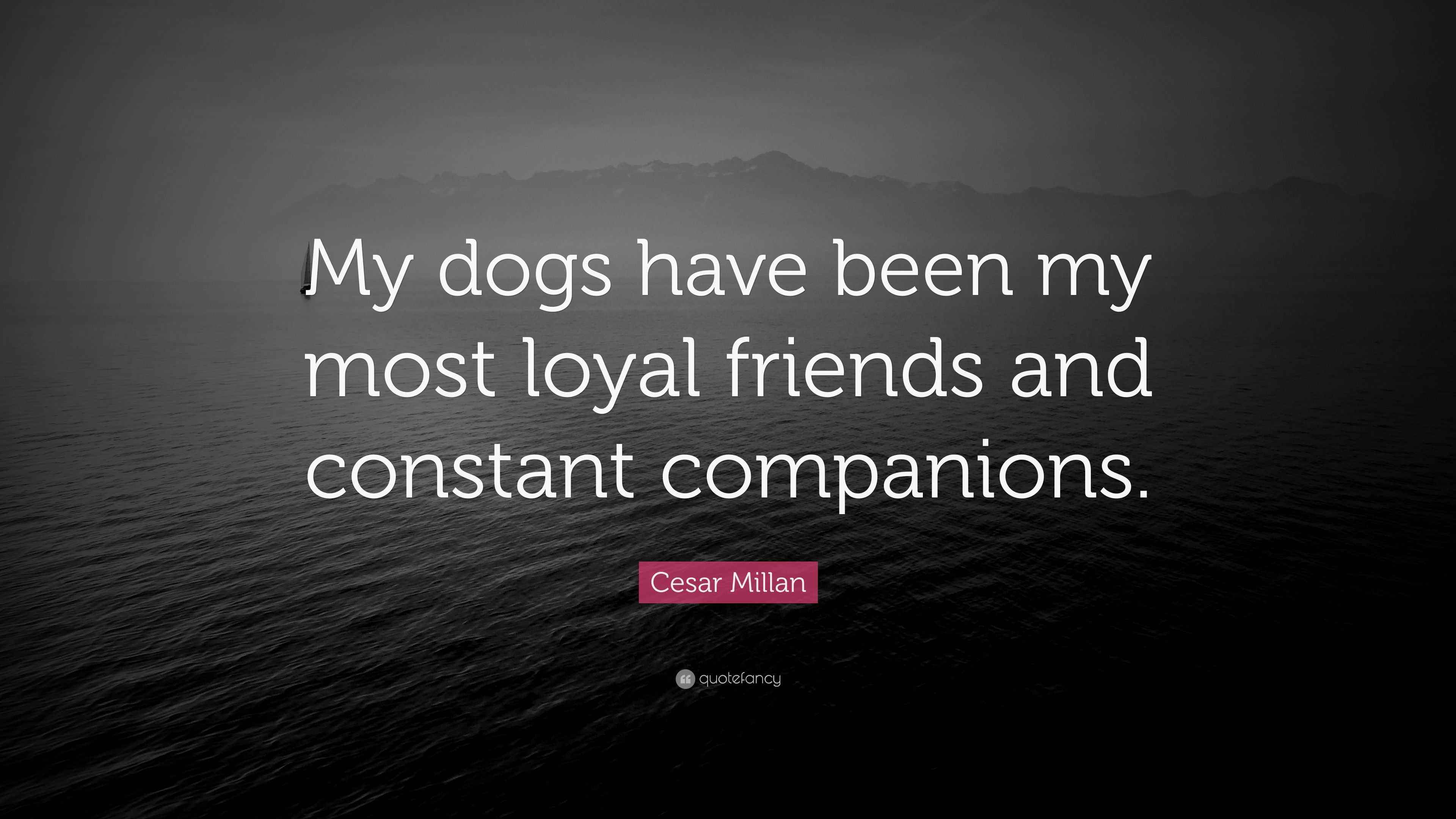 Cesar Millan Quote: “My dogs have been my most loyal friends and ...