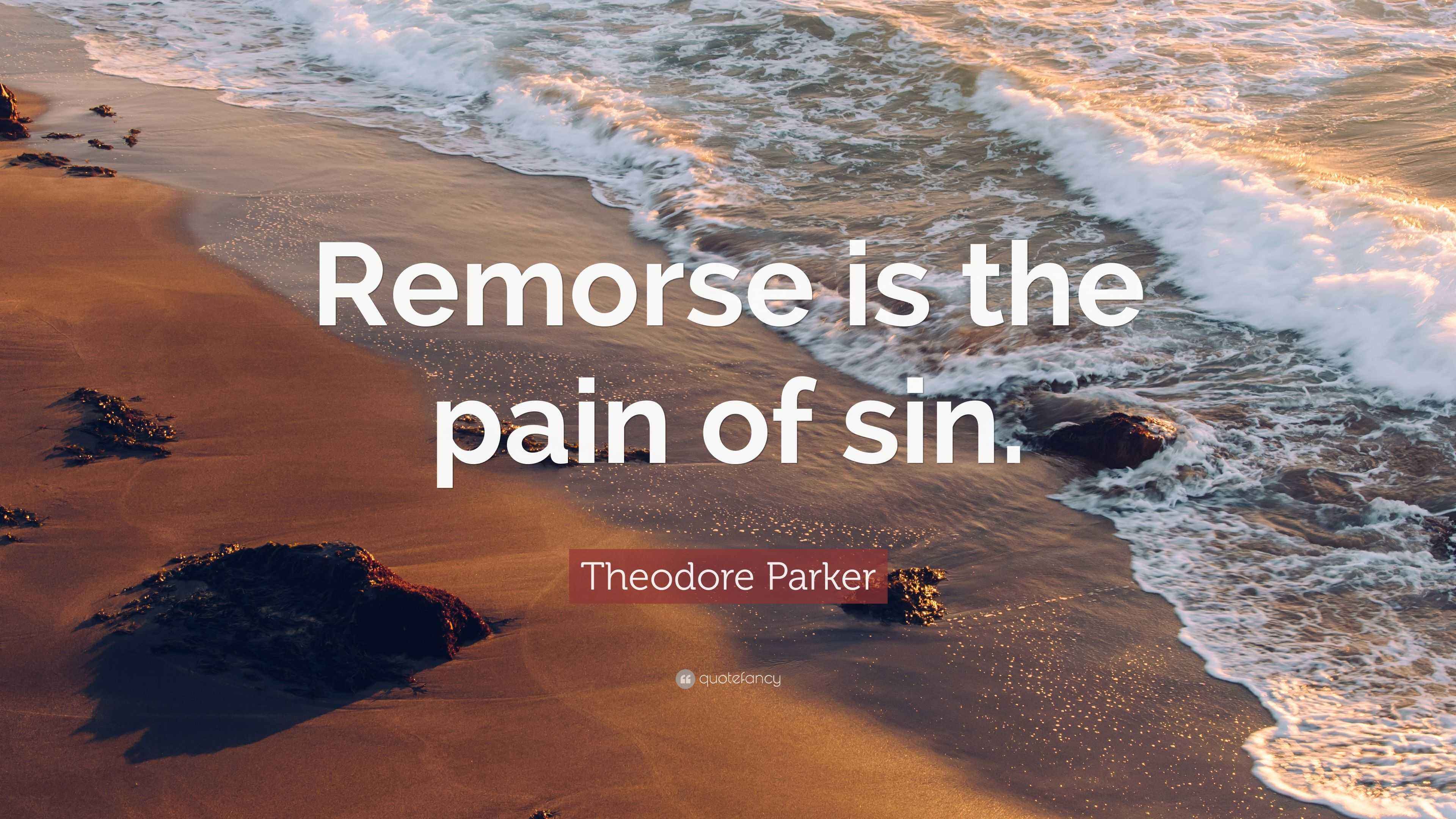 Theodore Parker Quote: “Remorse is the pain of sin.”