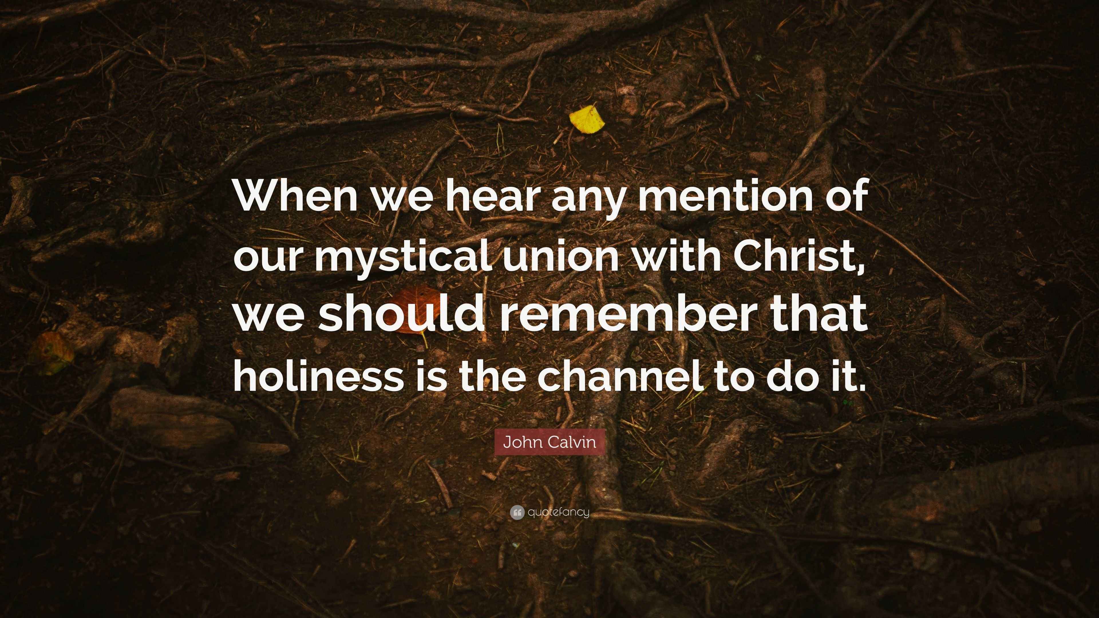 John Calvin Quote: “When we hear any mention of our mystical union with ...