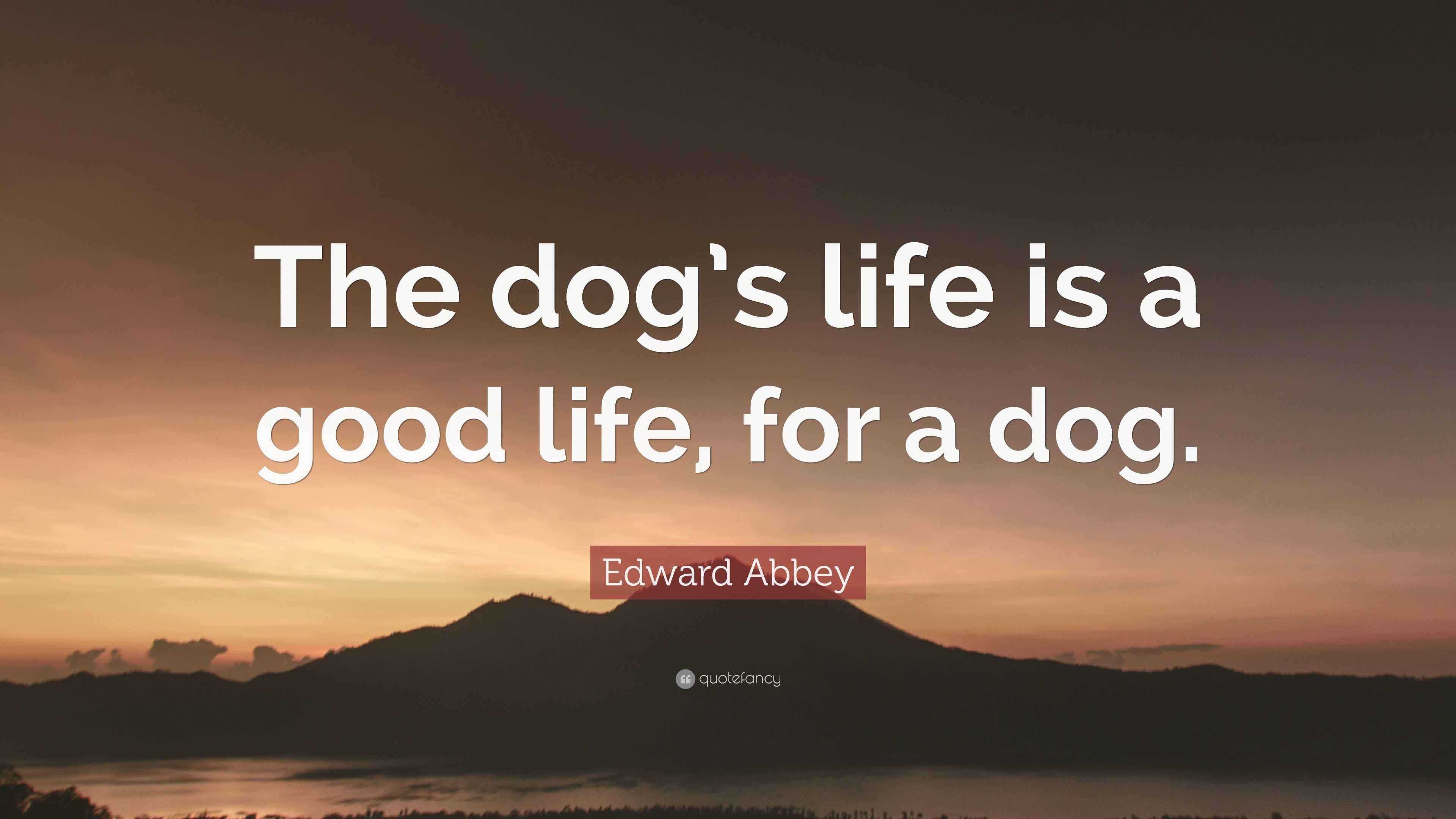 Edward Abbey Quote: “The dog’s life is a good life, for a dog.”
