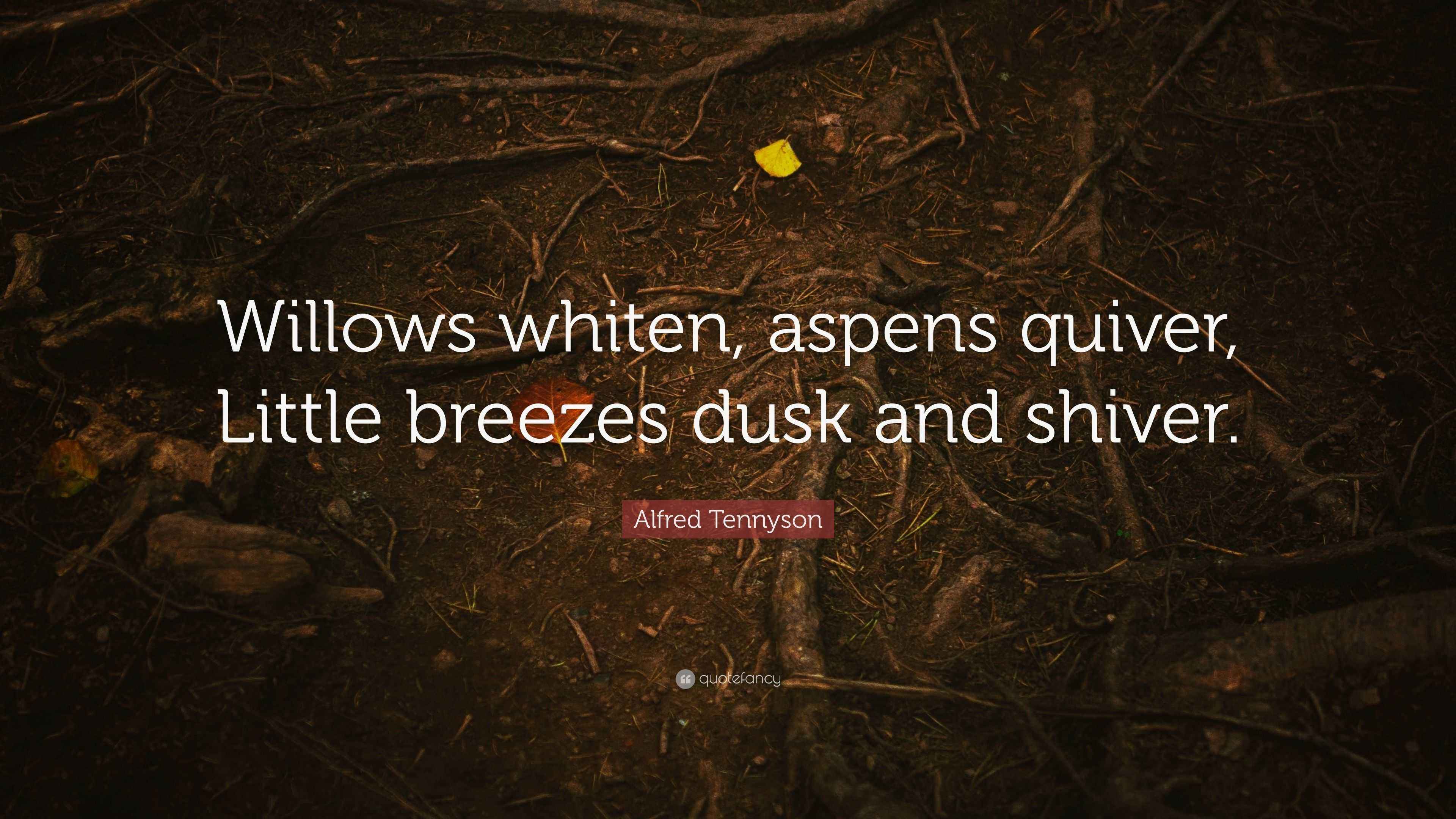 Alfred Tennyson Quote: “Willows whiten, aspens quiver, Little breezes ...
