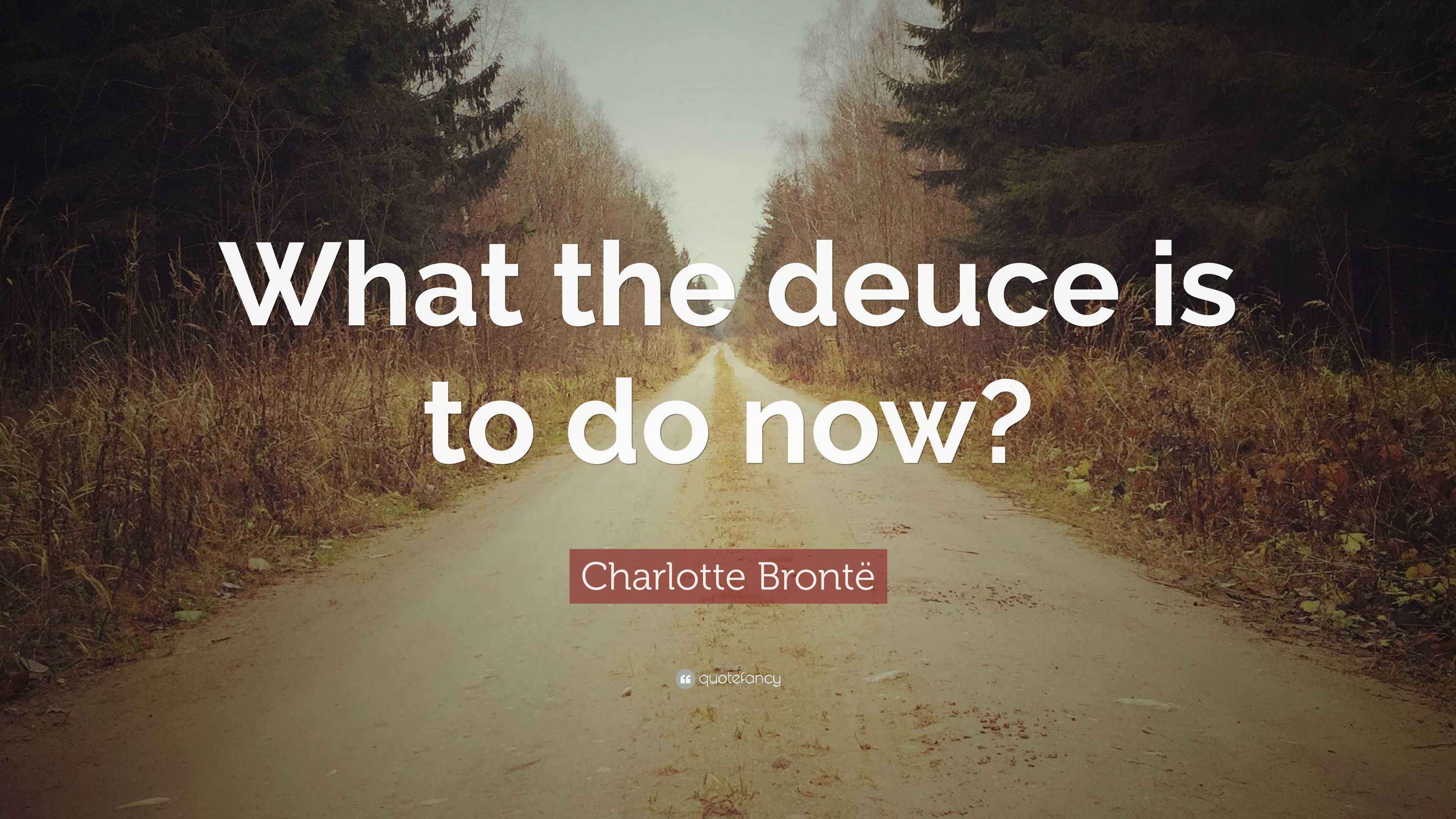 Charlotte Brontë Quote: “What the deuce is to do now?”