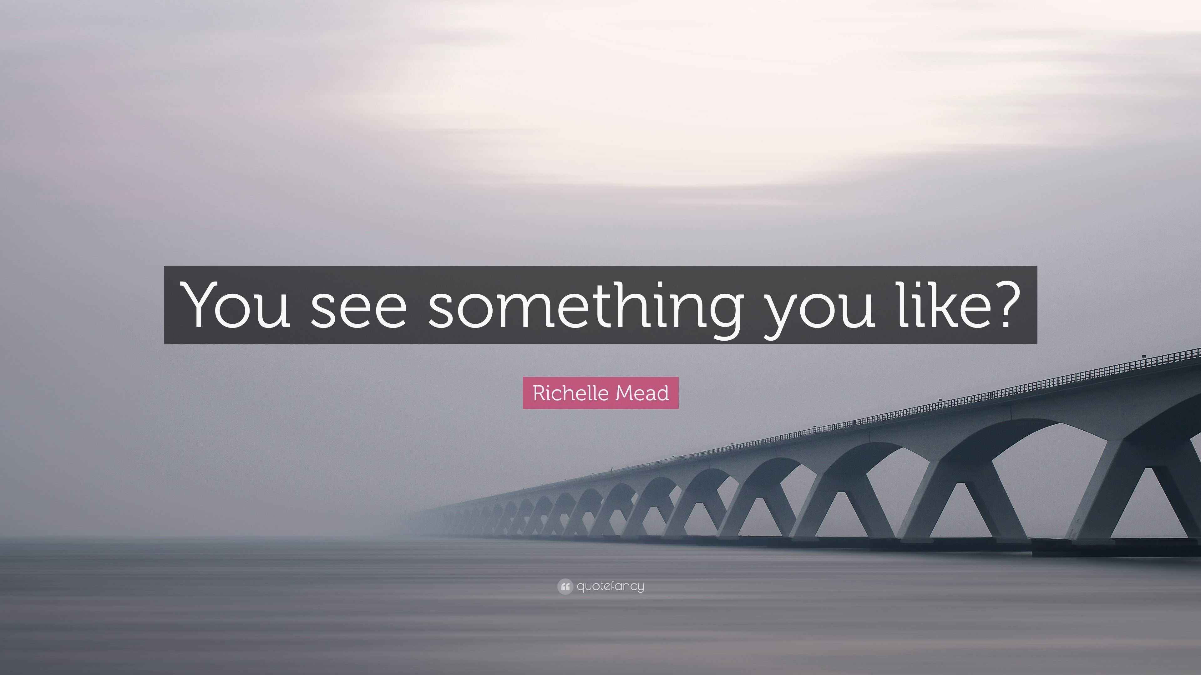 Richelle Mead Quote: “You see something you like?”