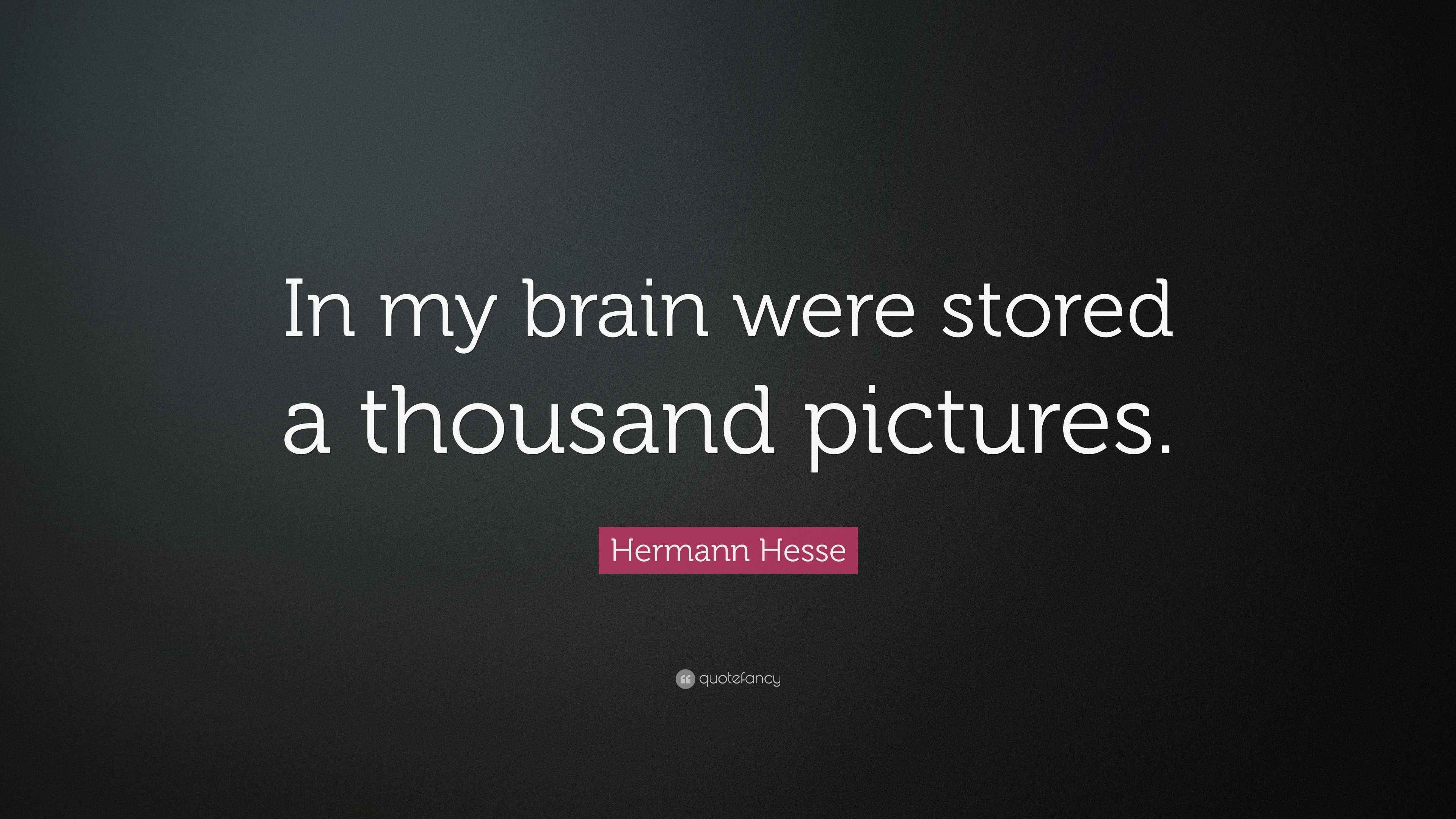 Hermann Hesse Quote: “In my brain were stored a thousand pictures.”