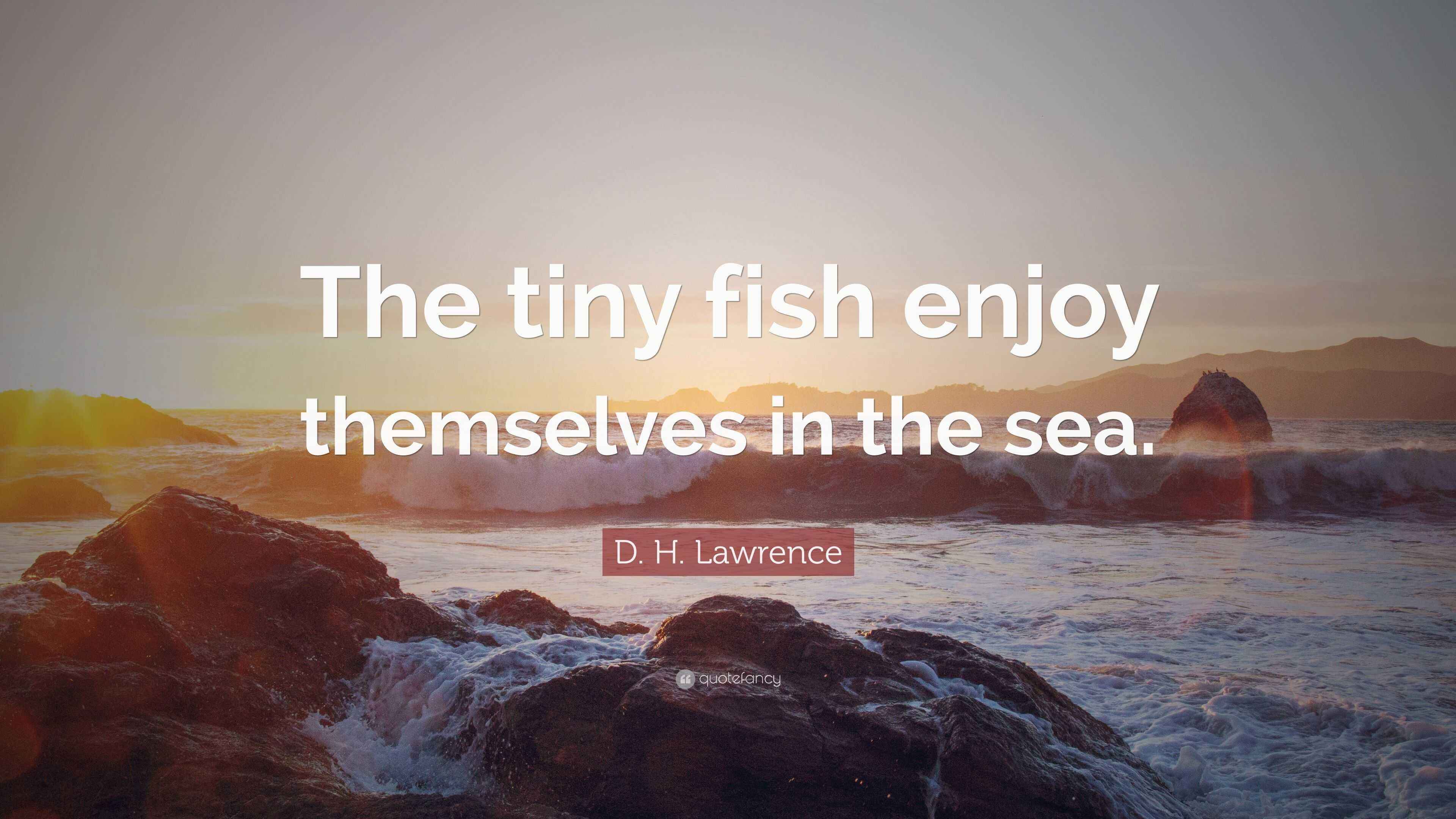D. H. Lawrence Quote: “The tiny fish enjoy themselves in the sea.”