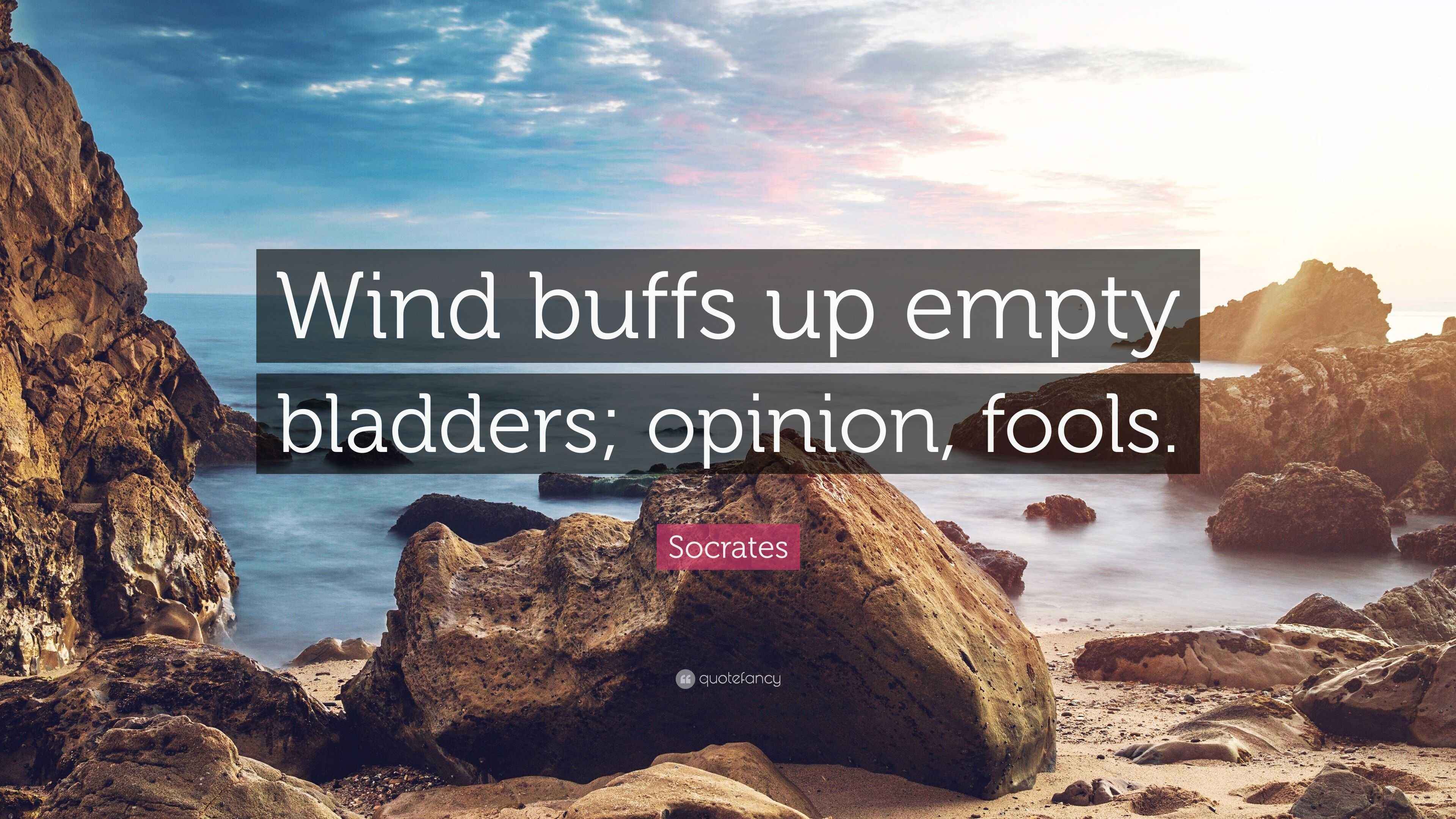 Socrates Quote: “Wind buffs up empty bladders; opinion, fools.”