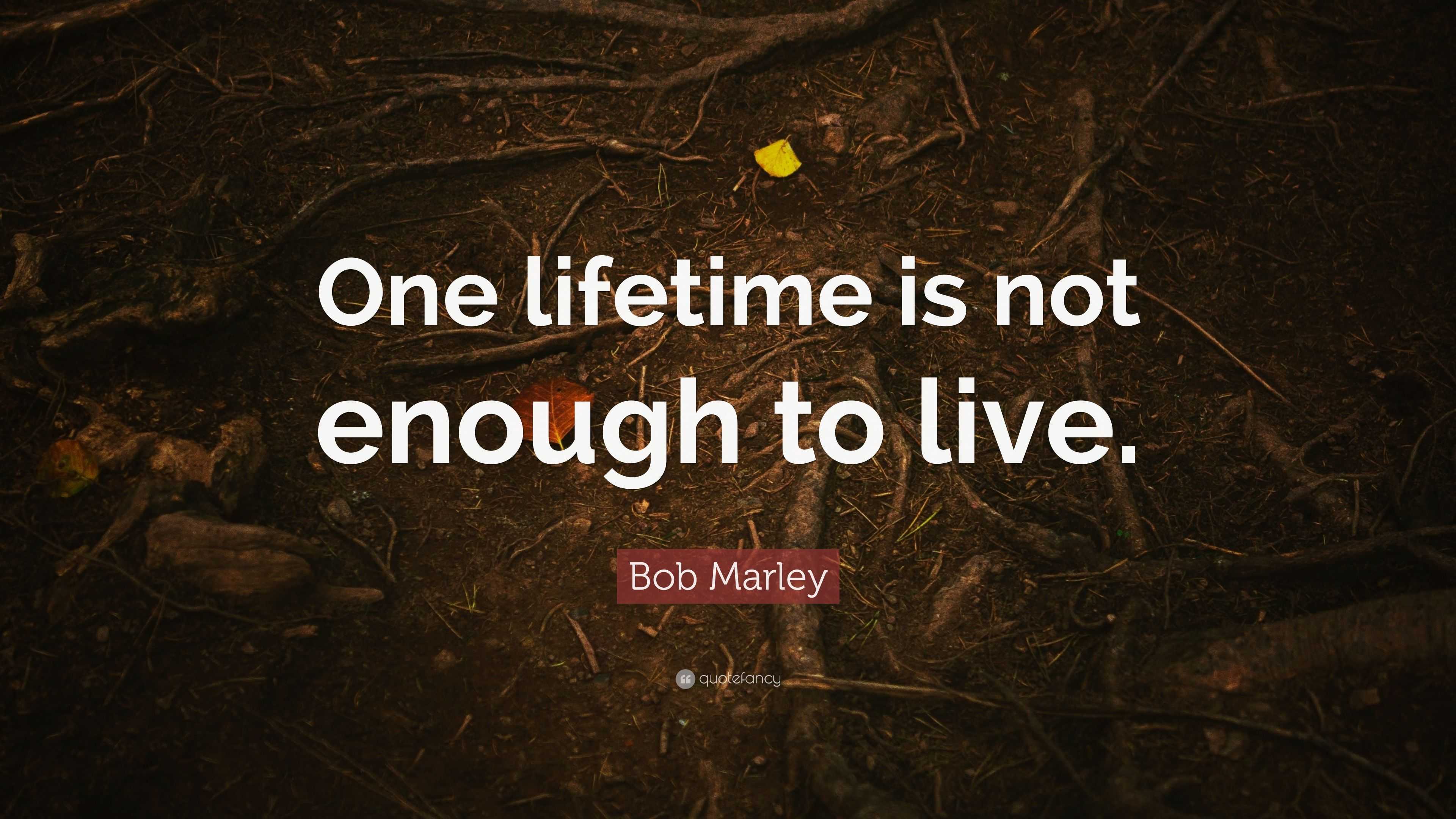 Bob Marley Quote: “One lifetime is not enough to live.”