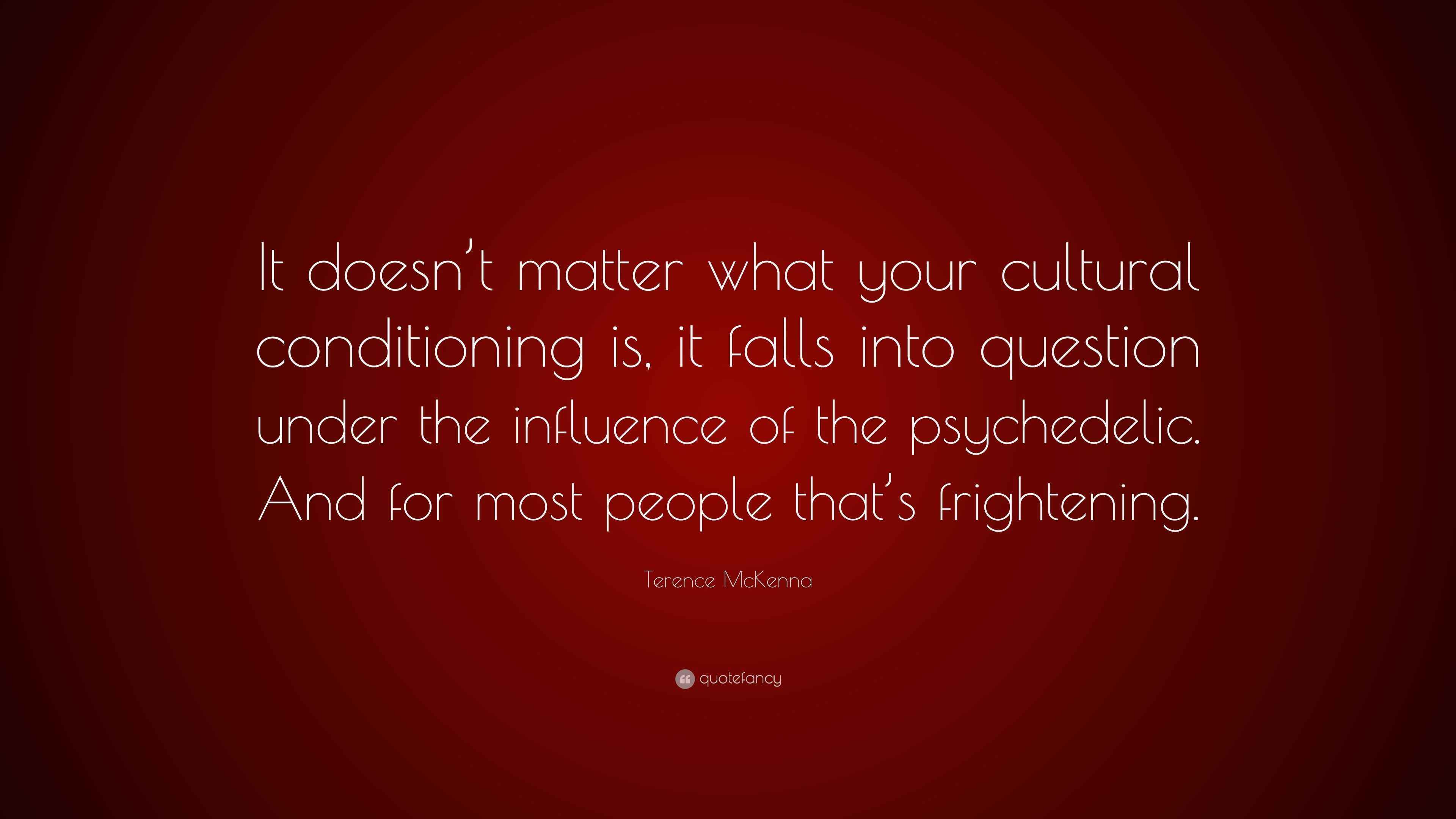 Terence McKenna Quote: “It doesn’t matter what your cultural ...