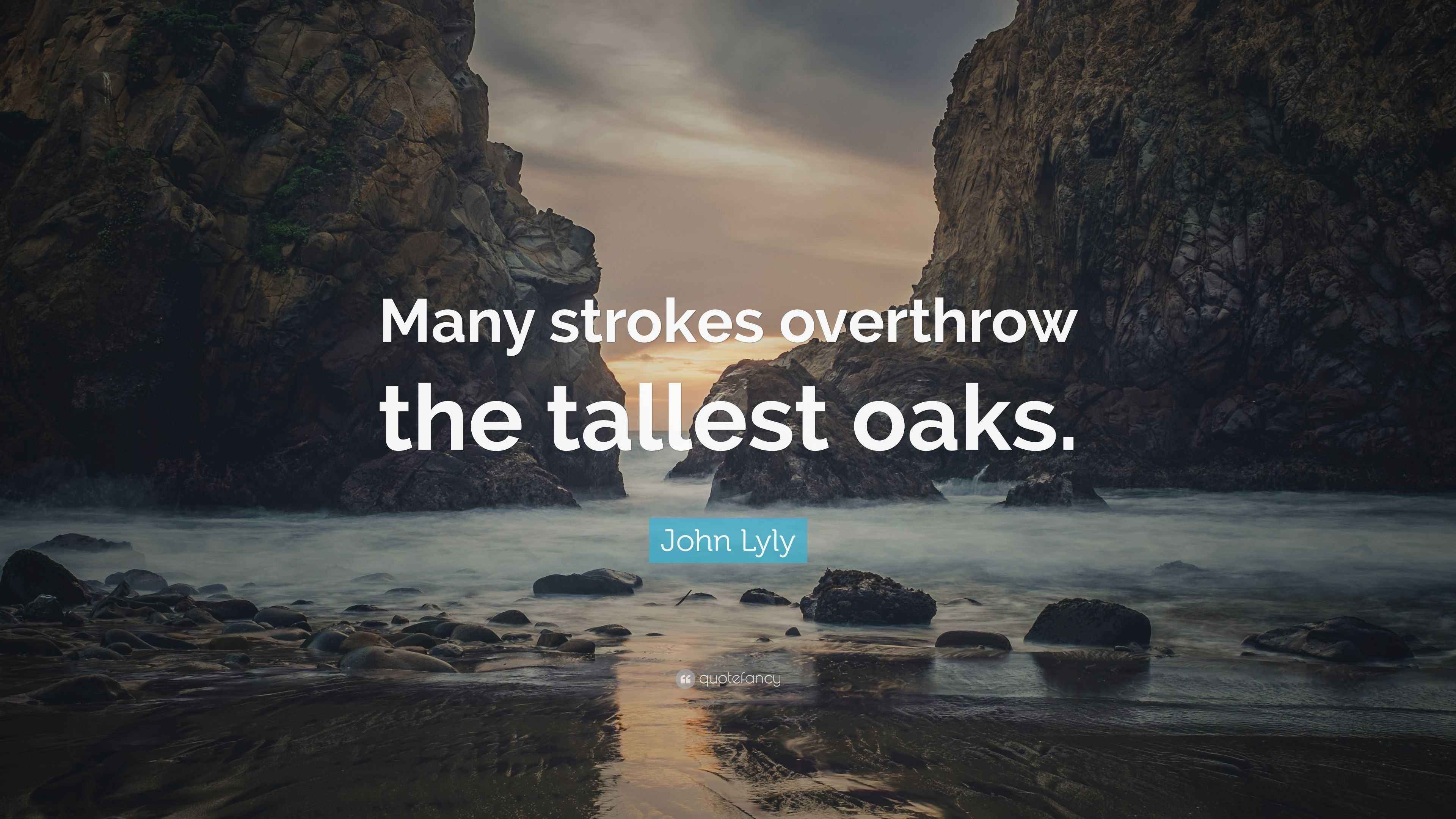 John Lyly Quote: “Many strokes overthrow the tallest oaks.”