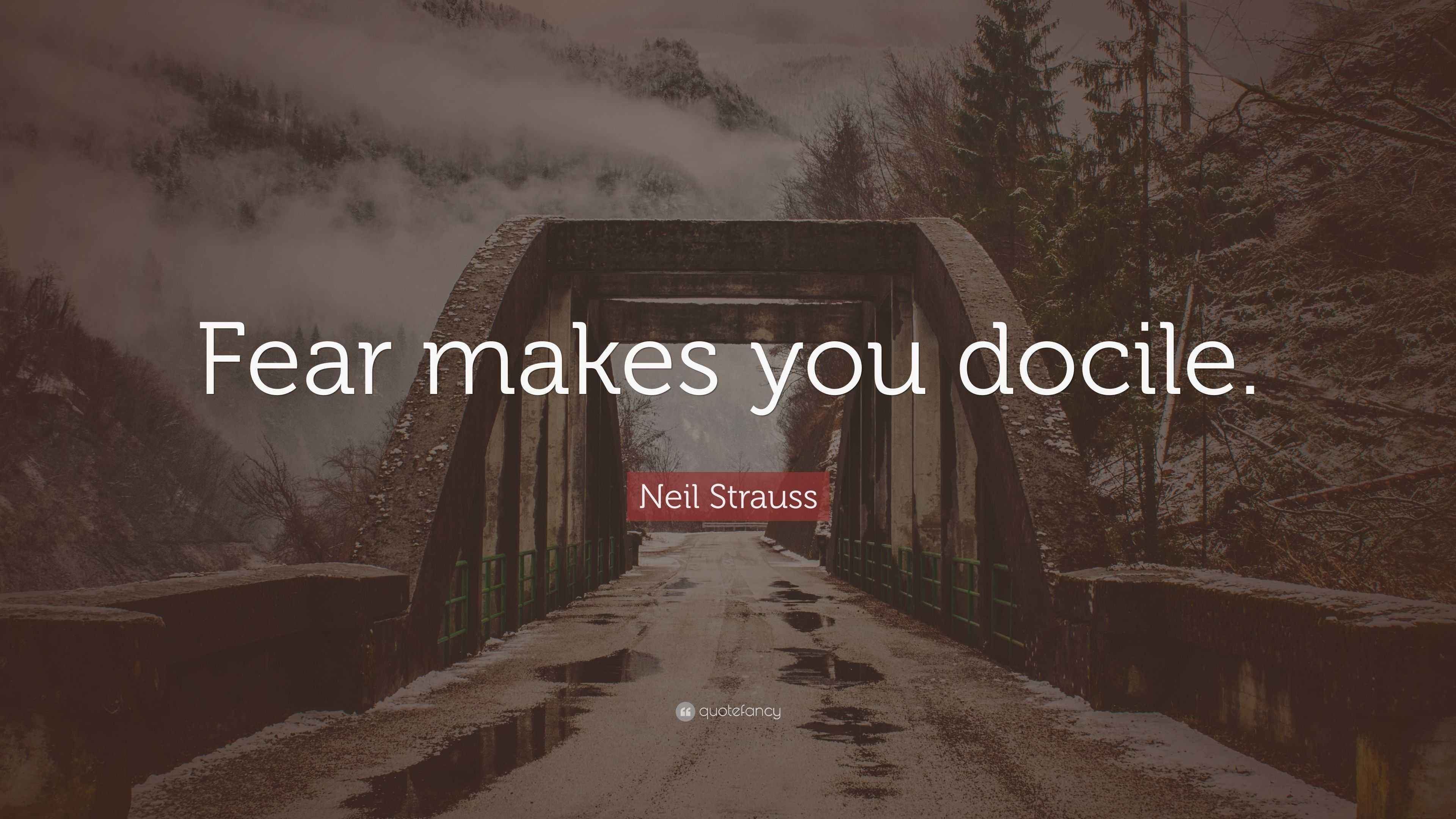 Neil Strauss Quote: “Fear makes you docile.”