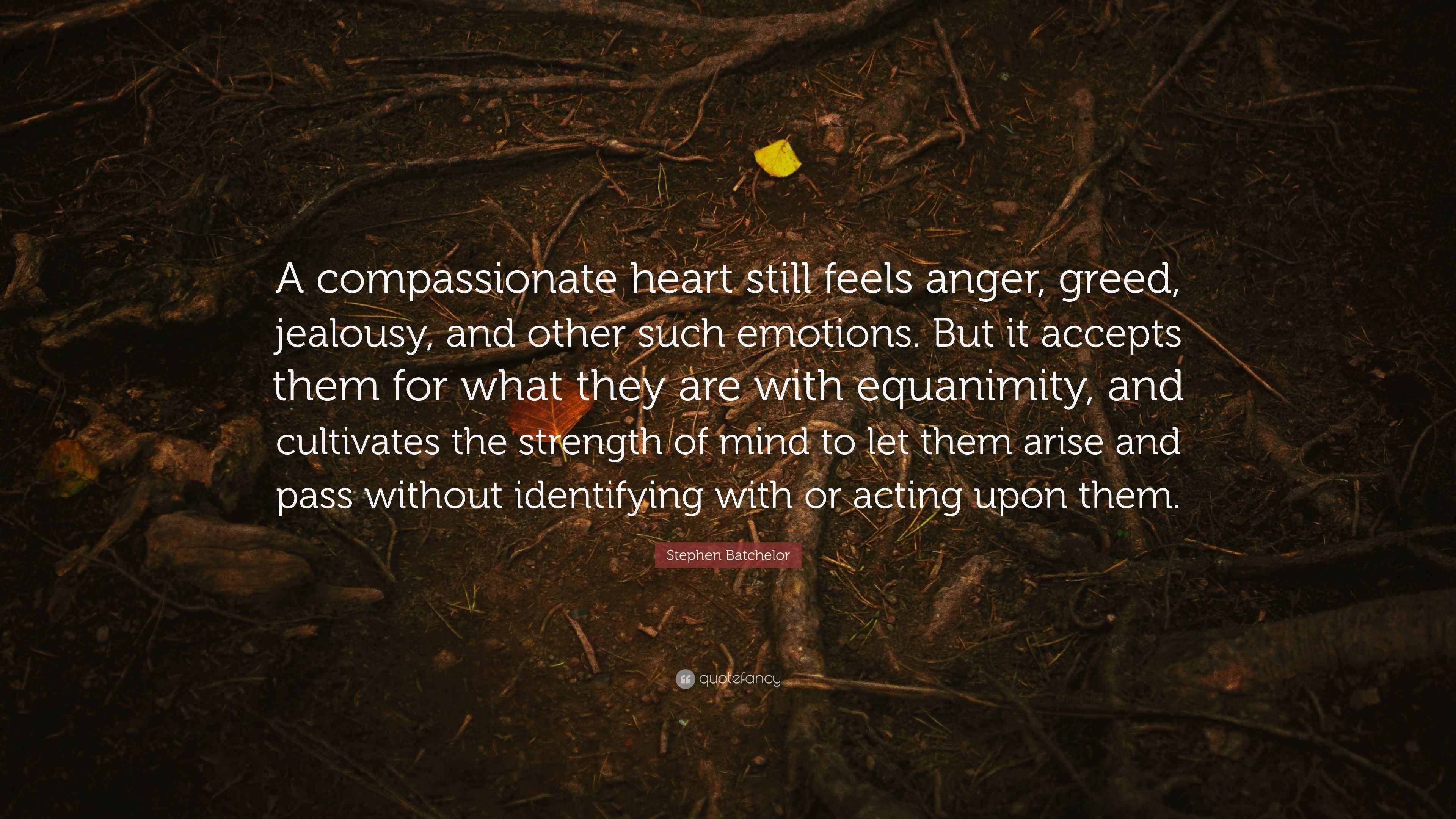 Stephen Batchelor Quote: “A compassionate heart still feels anger ...