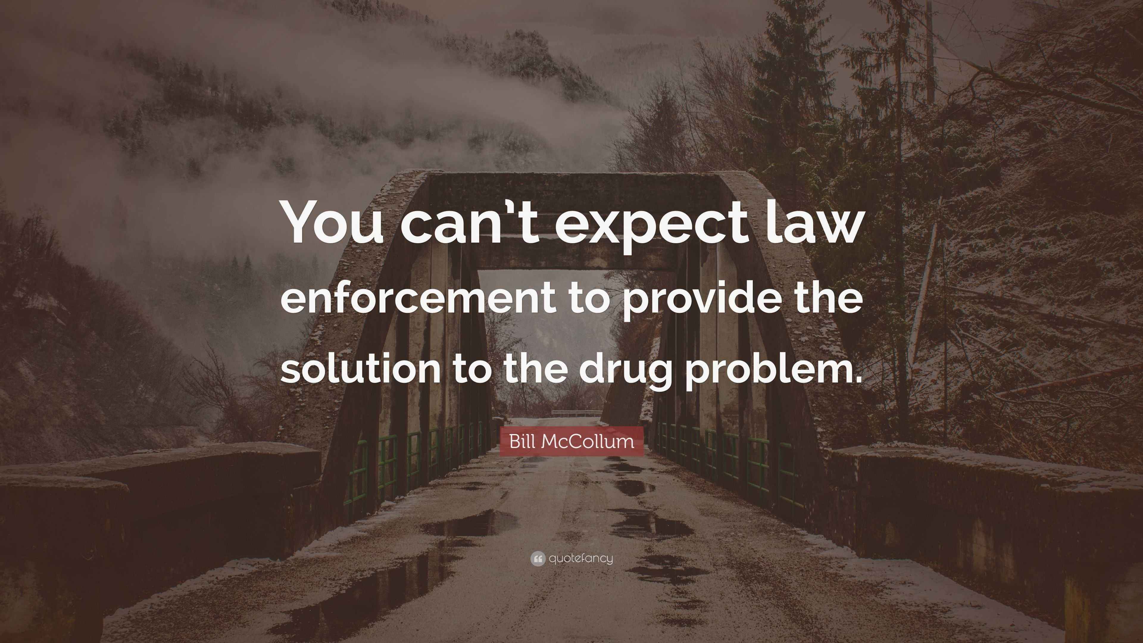 Bill McCollum Quote: “You can’t expect law enforcement to provide the ...