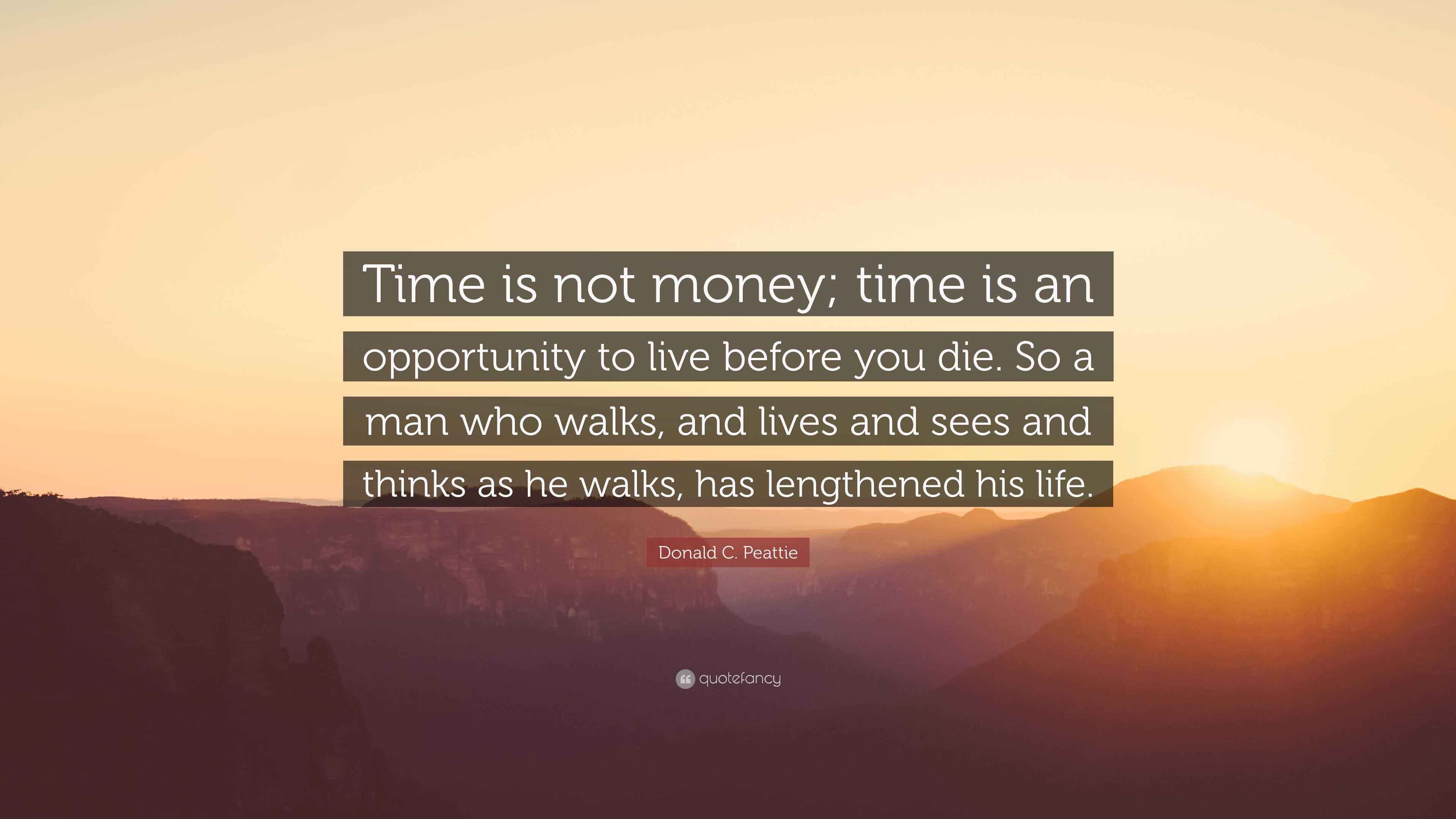 Donald C. Peattie Quote: “Time is not money; time is an opportunity to ...