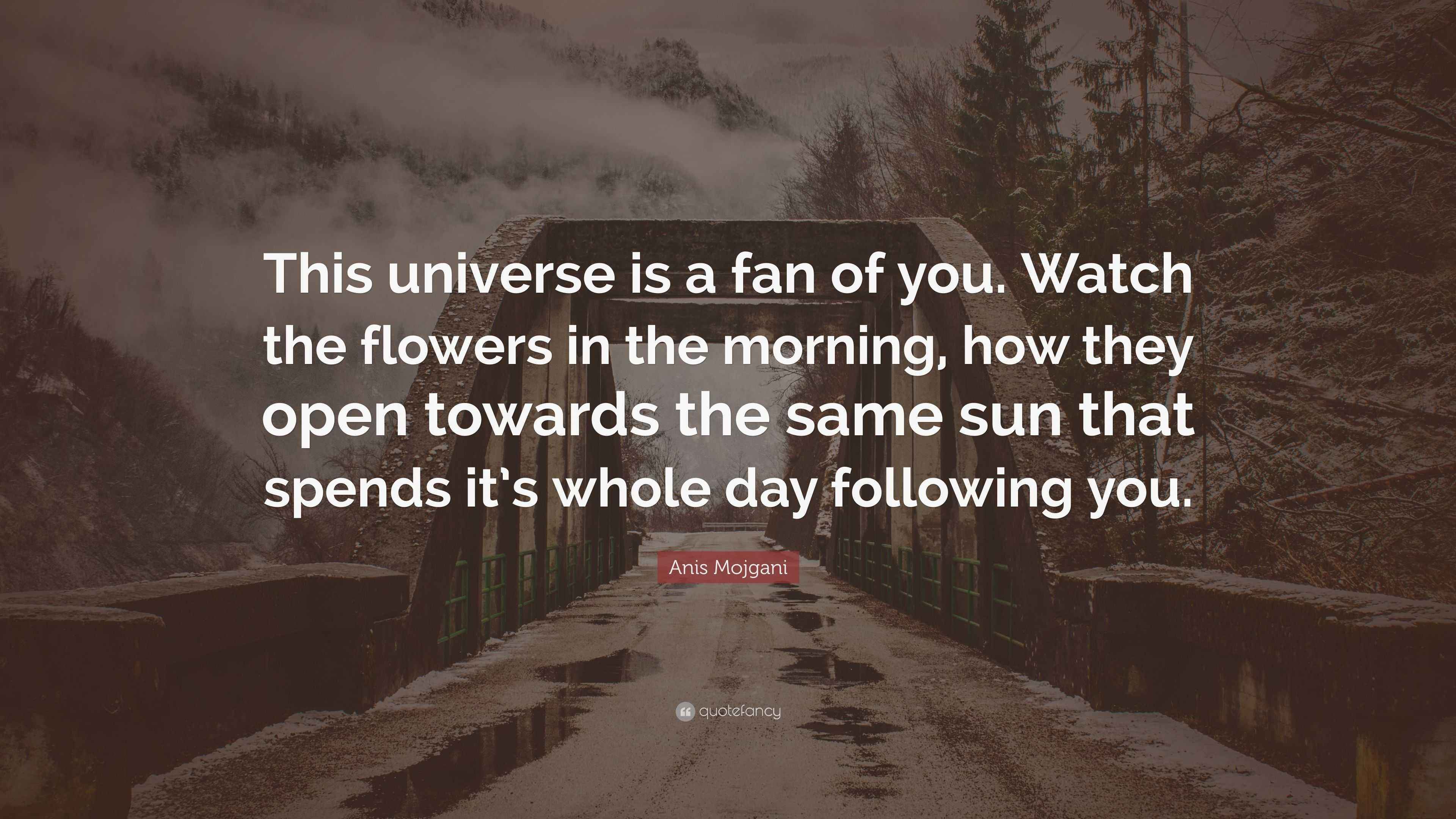Anis Mojgani Quote: “This universe is a fan of you. Watch the flowers ...