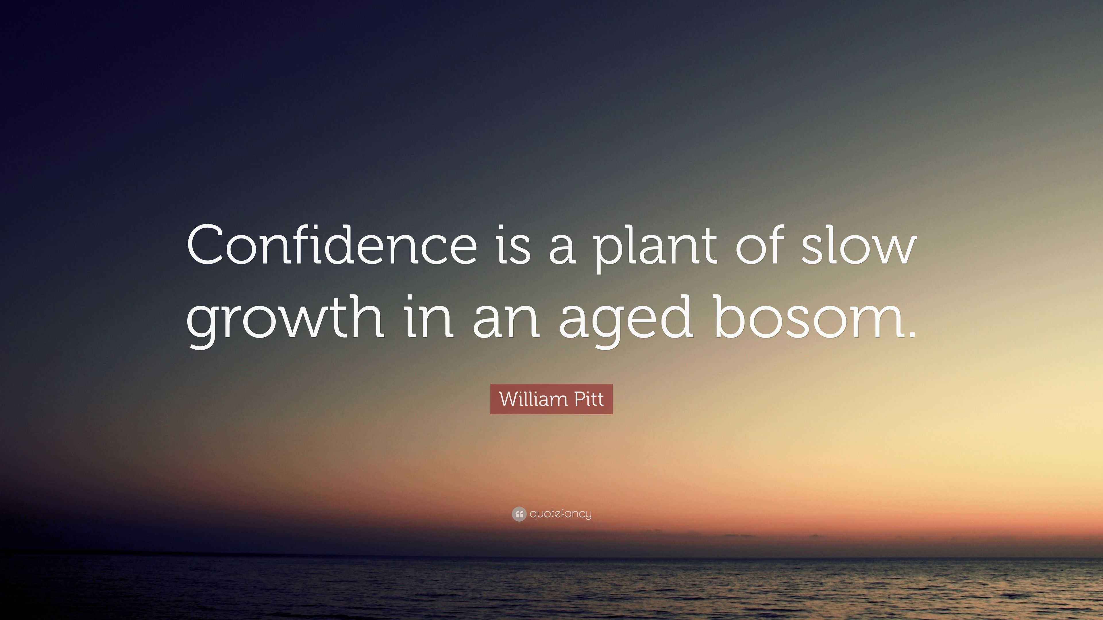 William Pitt Quote: “Confidence is a plant of slow growth in an aged ...